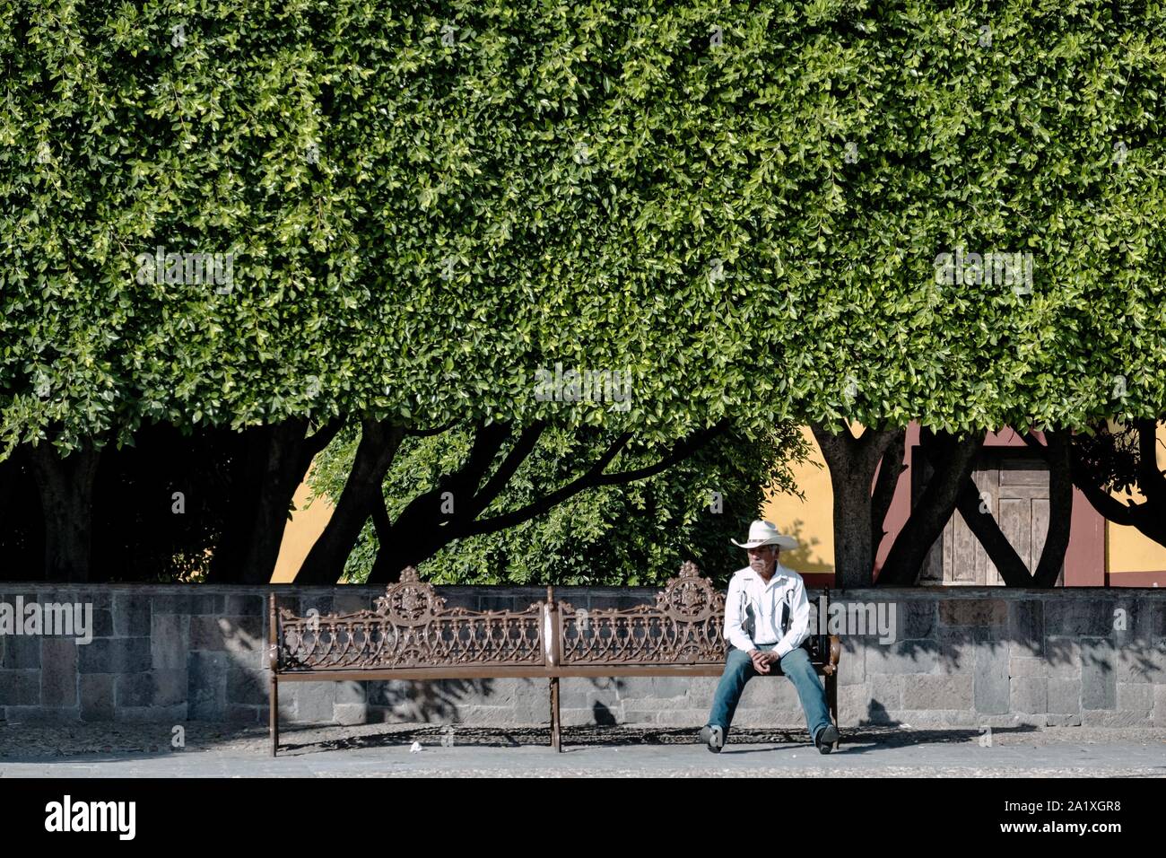 A Mexican cowboy relaxes on a park bench along San Francisco Street in ...