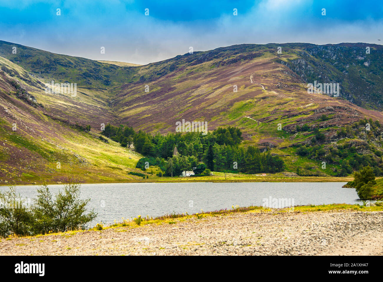 Heather lee hi-res stock photography and images - Alamy