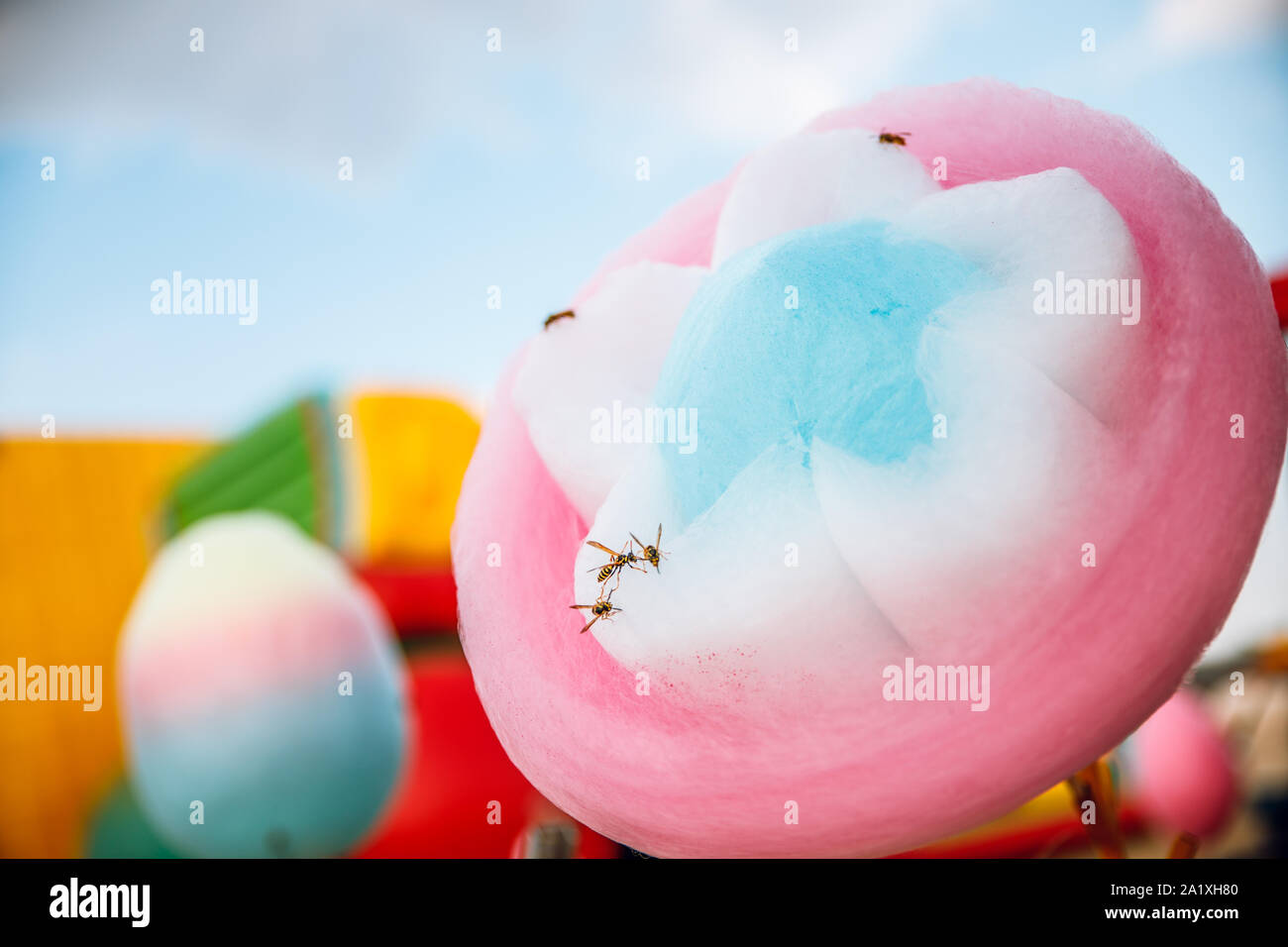 Wasps cake hi-res stock photography and images - Alamy