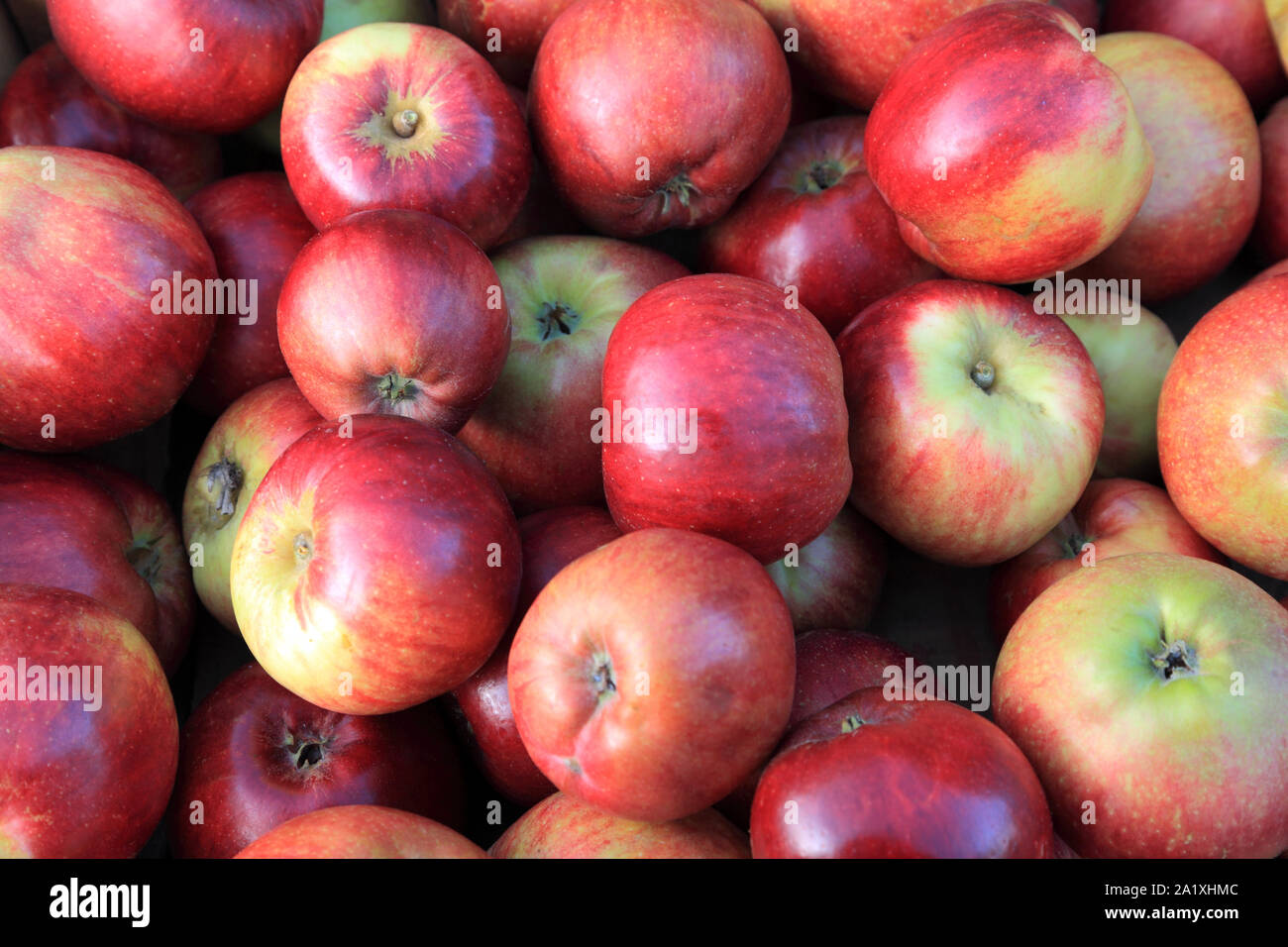 Herrings pippin hi-res stock photography and images - Alamy