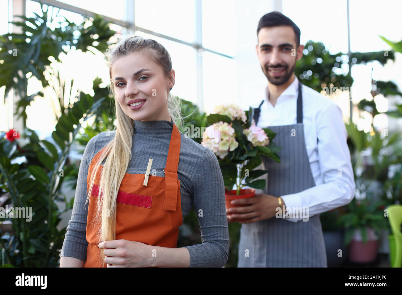 Beautiful woman florist home hi-res stock photography and images - Alamy