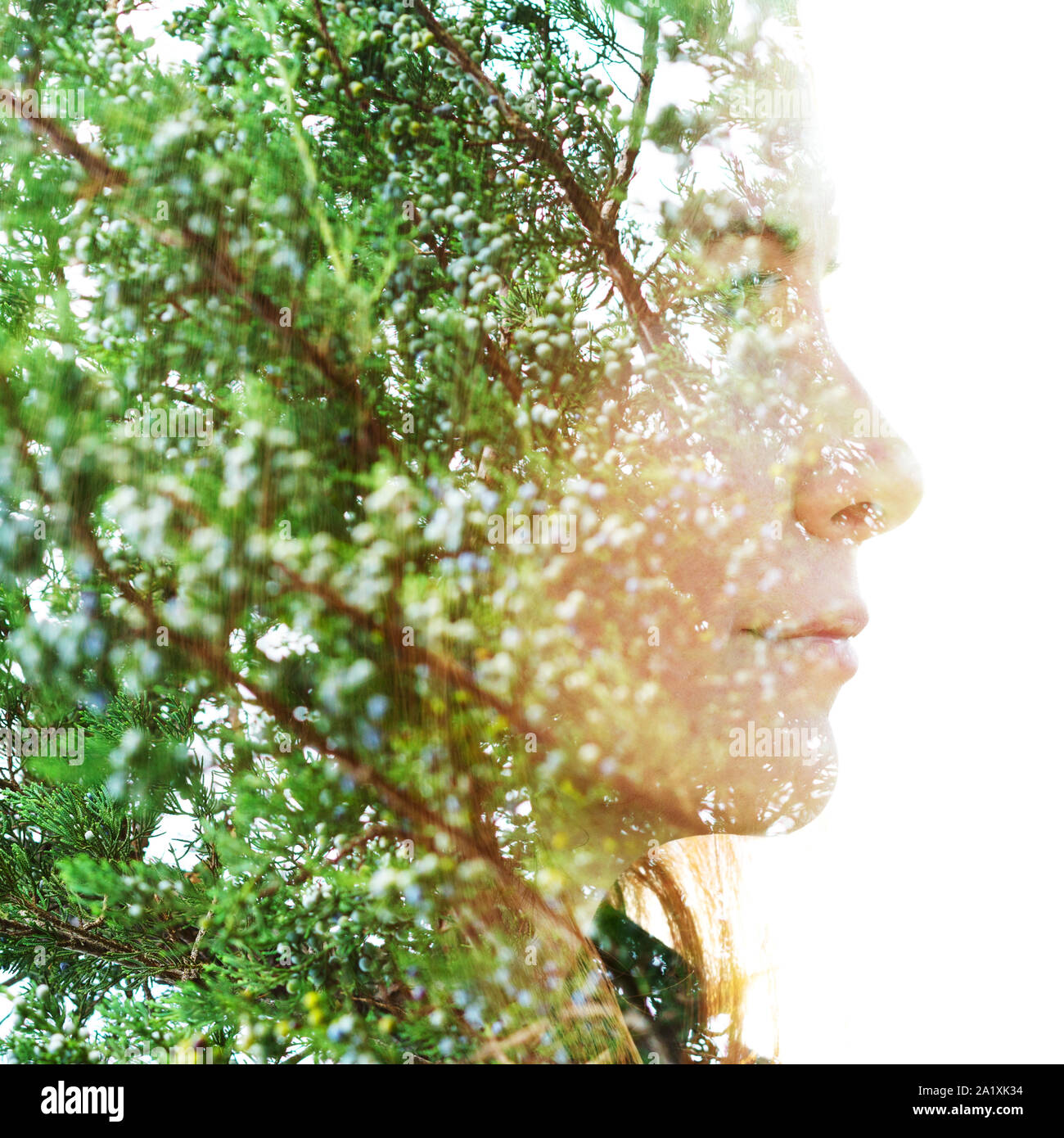 Double exposure portrait of a strong female and a big leafy tree Stock ...