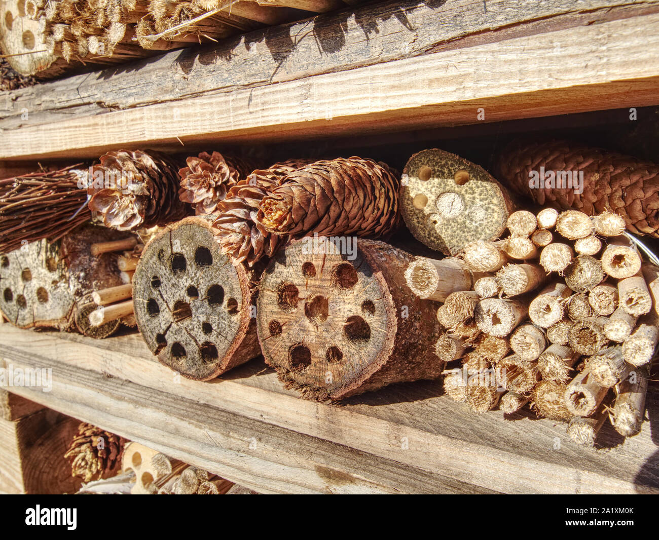 Part of craft hotel or house for wild bees and other insect made of ...