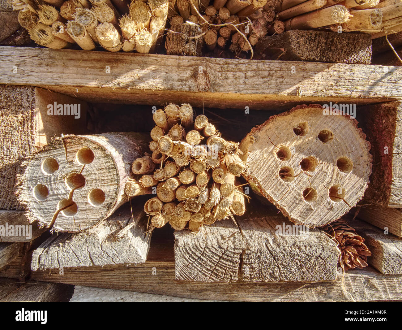 Part of craft hotel or house for wild bees and other insect made of ...