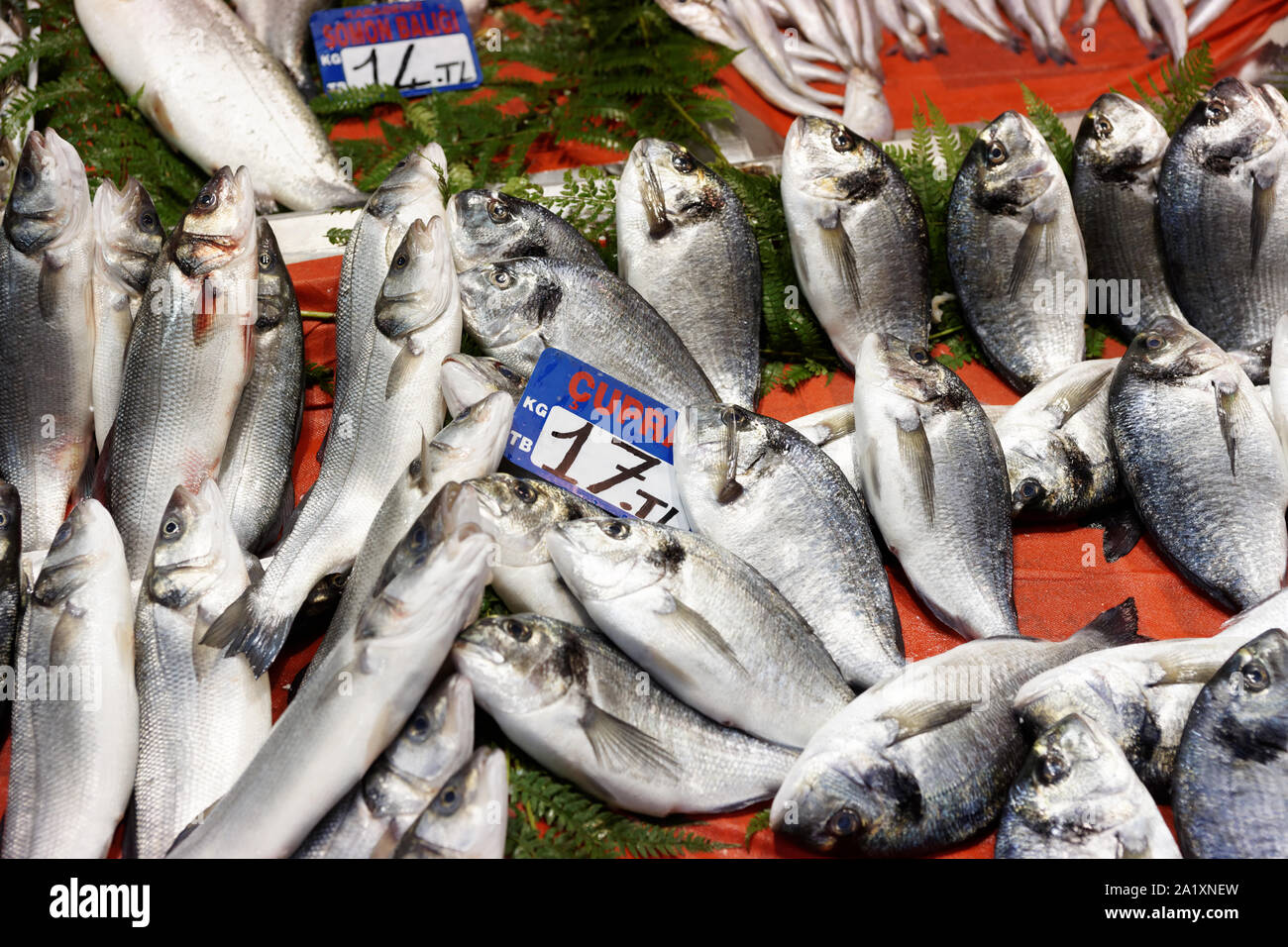 Fish market in istanbul hi-res stock photography and images - Alamy