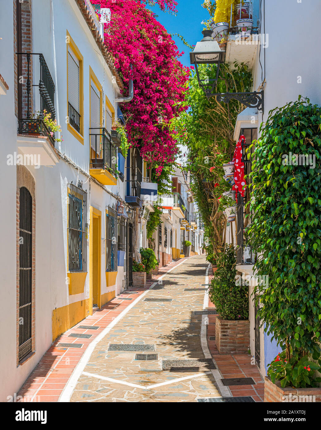 A picturesque and narrow street in Marbella old town, province of ... A picturesque and narrow street in Marbella old town, province of ...