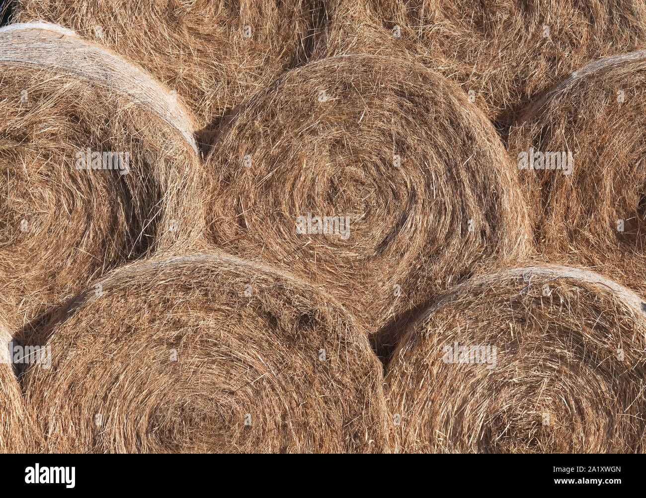 Stacked straw bales Stock Photo - Alamy