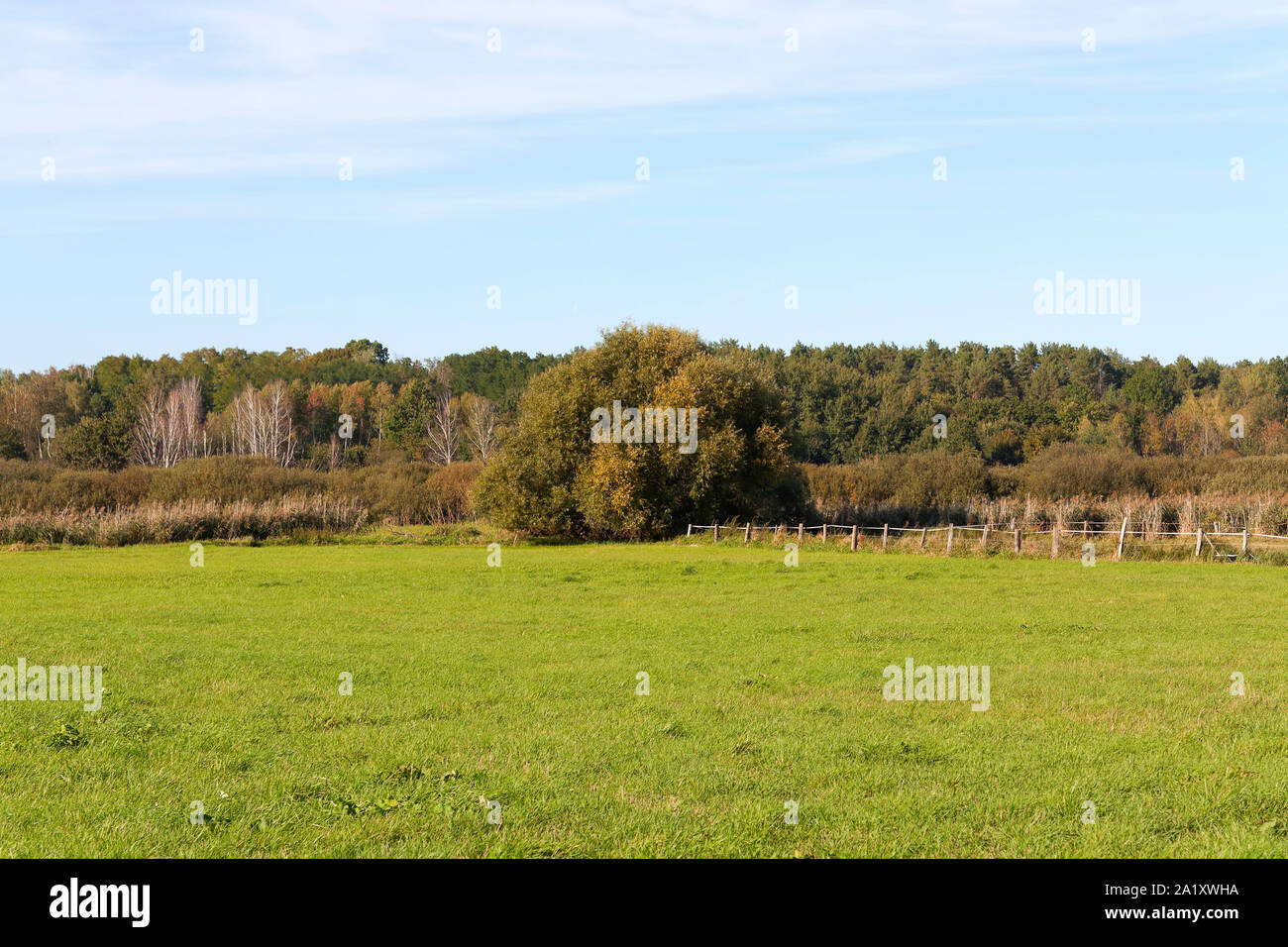 Sizzling spell of weather hi-res stock photography and images - Alamy