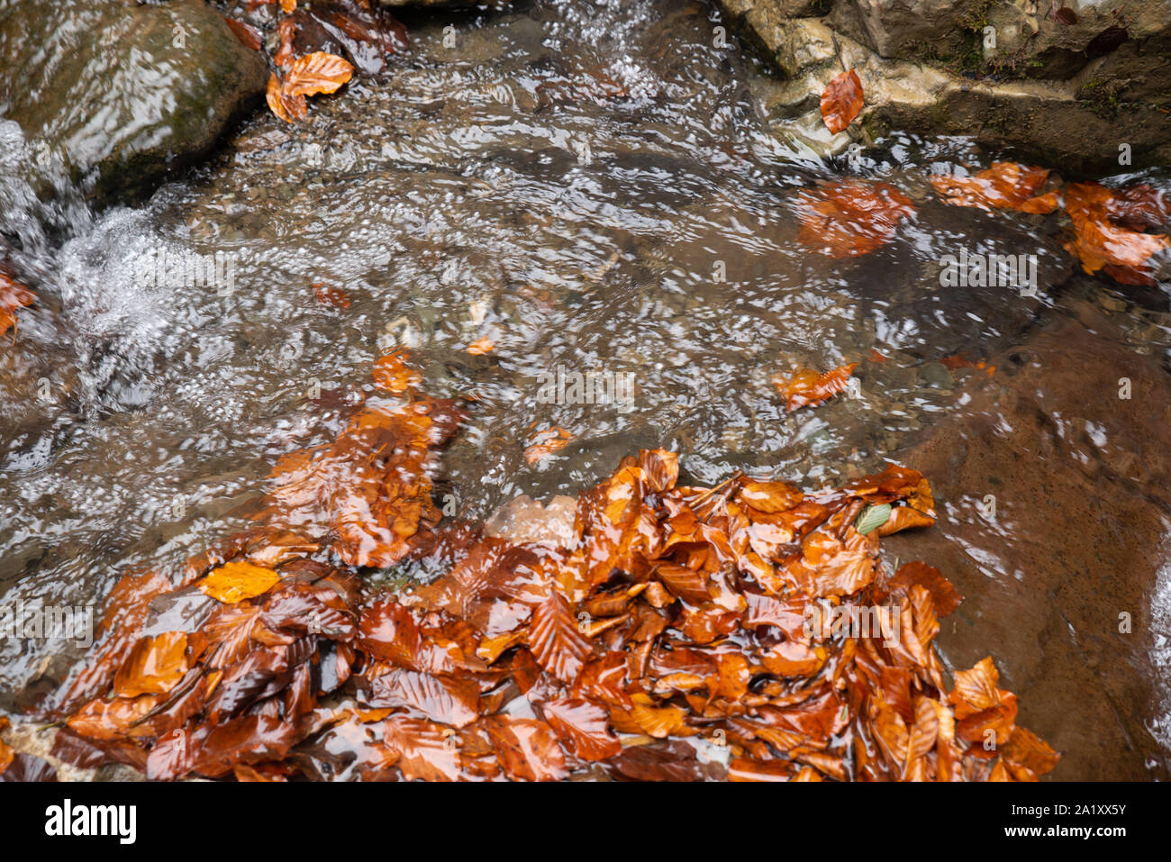 Water fall wallpapers hi-res stock photography and images - Alamy