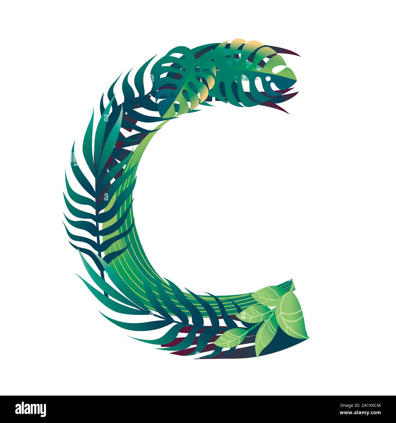 Types c Cut Out Stock Images & Pictures - Alamy