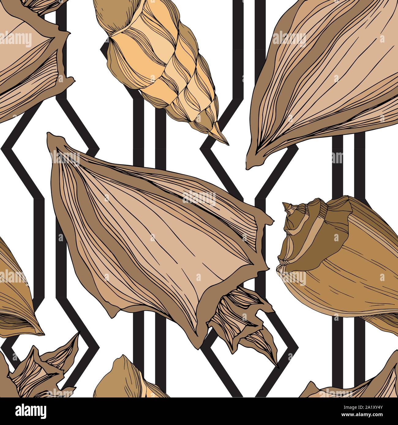 Vector Summer beach seashell tropical elements. Brown beige Engraved ...