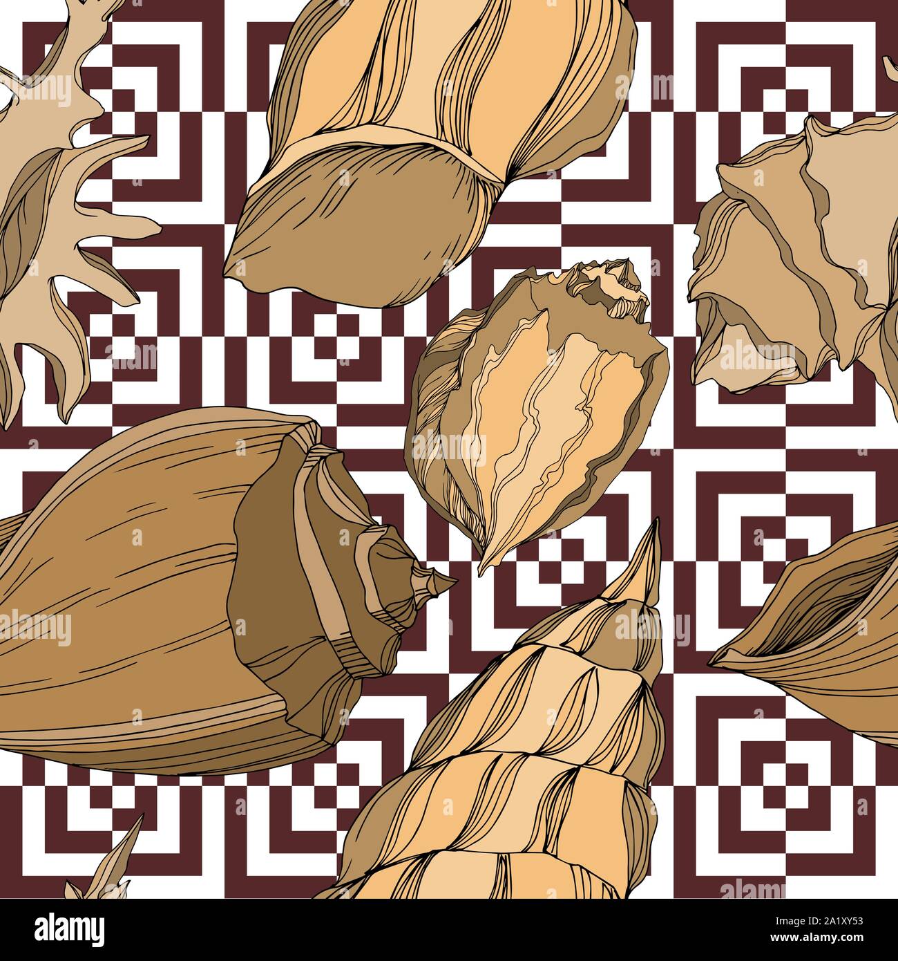 Vector Summer beach seashell tropical elements. Brown beige Engraved ...