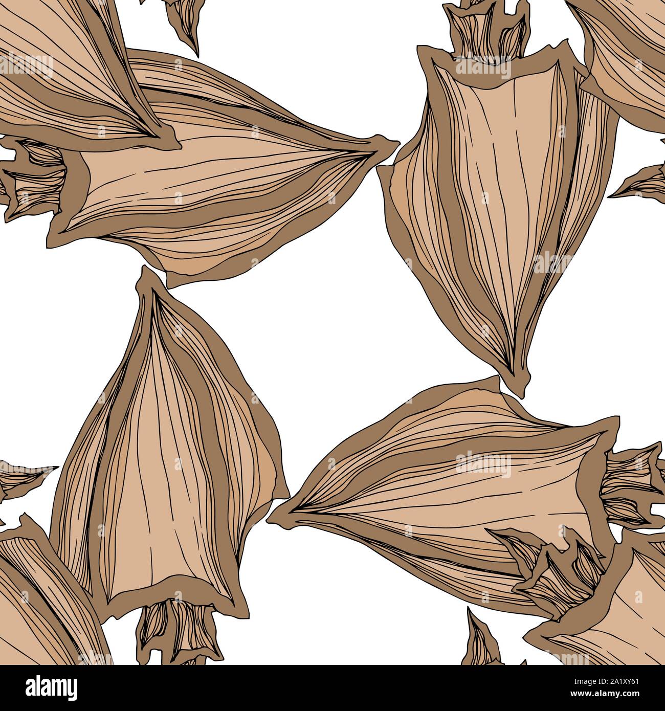 Vector Summer beach seashell tropical elements. Brown beige Engraved ...