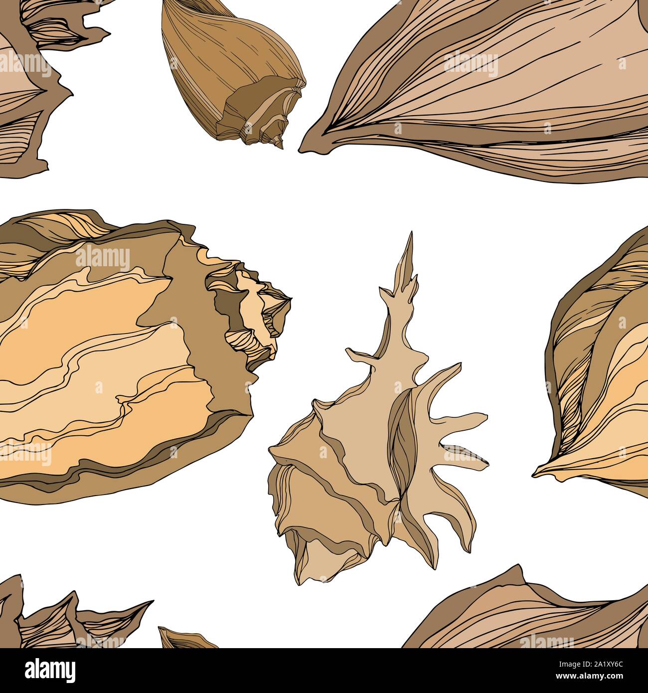 Vector Summer beach seashell tropical elements. Brown beige Engraved ...