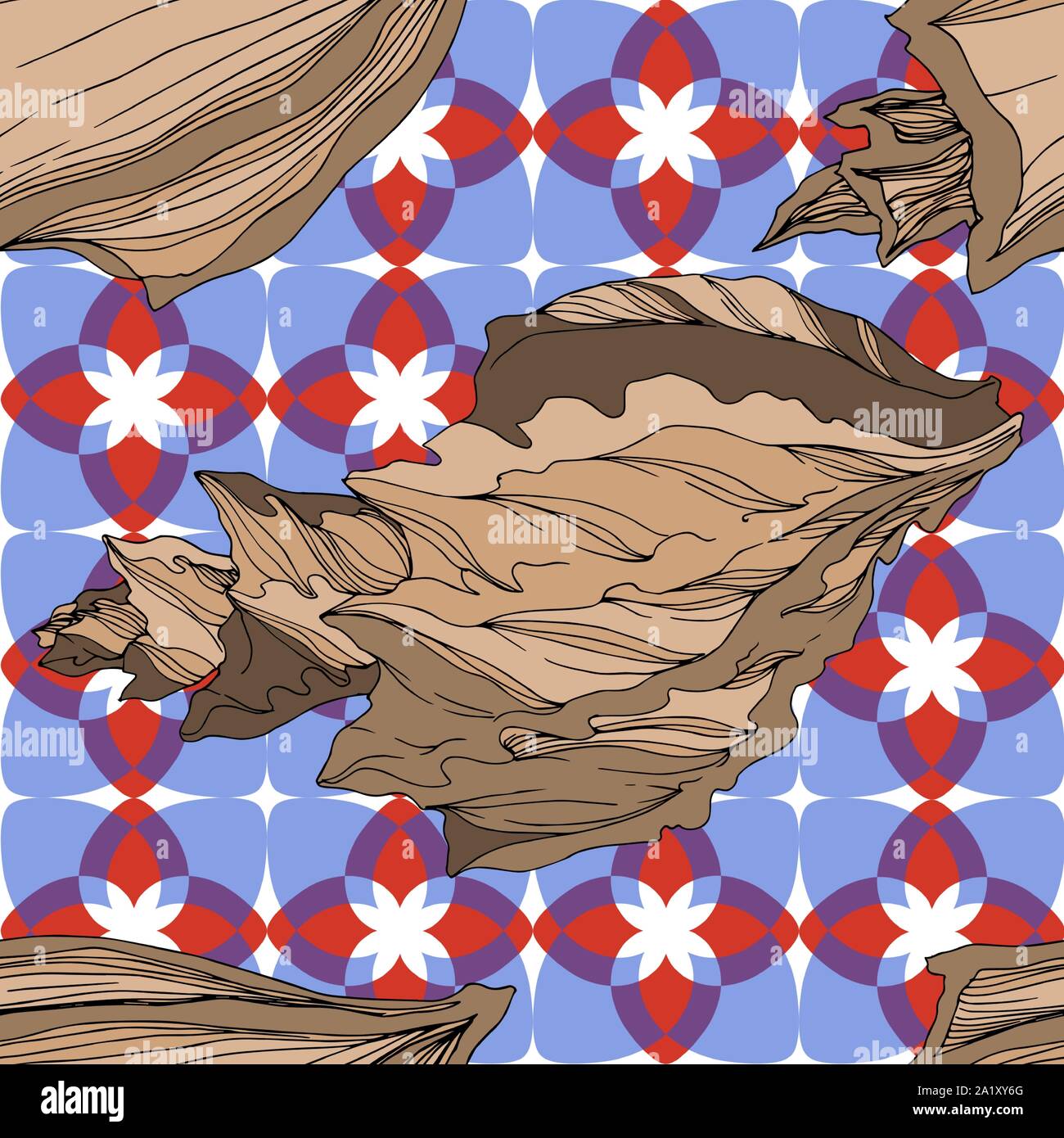 Vector Summer beach seashell tropical elements. Brown beige Engraved ...