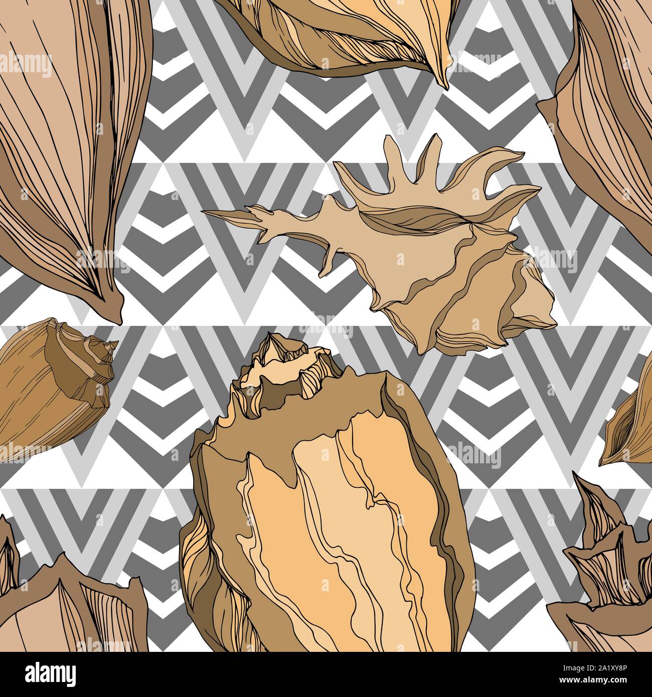 Vector Summer beach seashell tropical elements. Brown beige Engraved ...