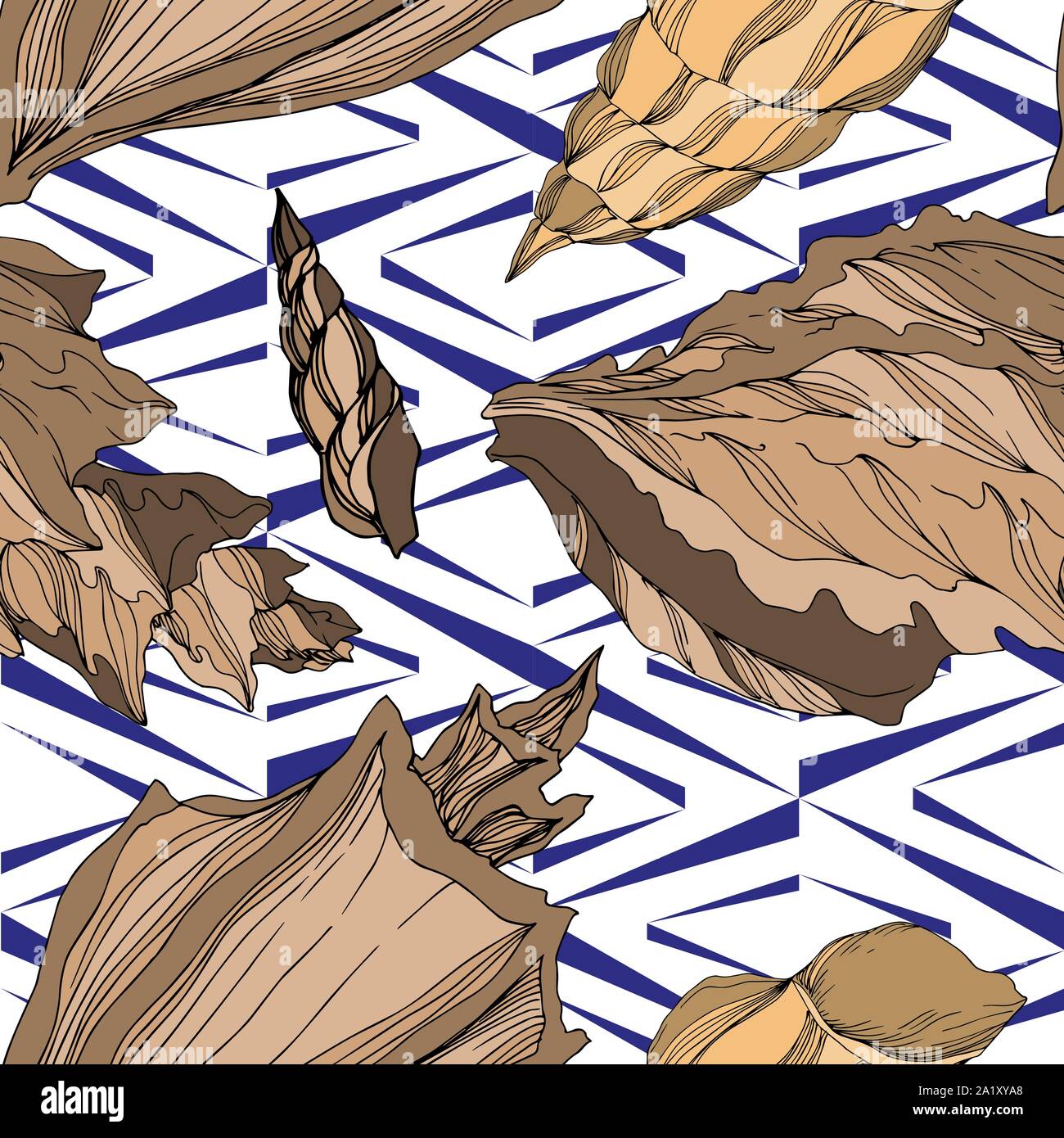 Vector Summer beach seashell tropical elements. Brown beige Engraved ...