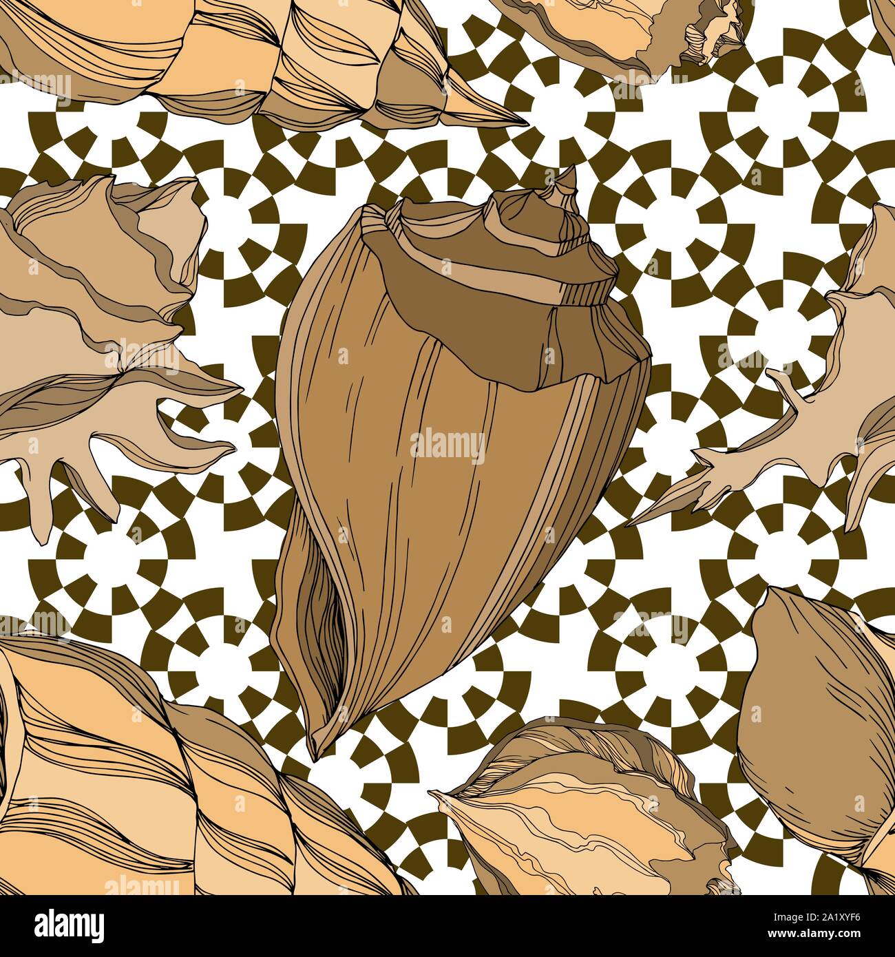 Vector Summer beach seashell tropical elements. Brown beige Engraved ...