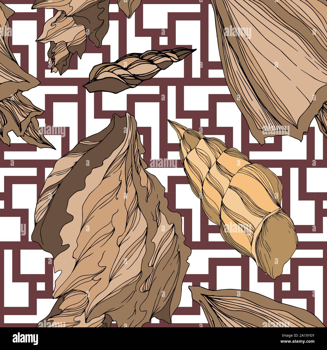 Vector Summer beach seashell tropical elements. Brown beige Engraved ...