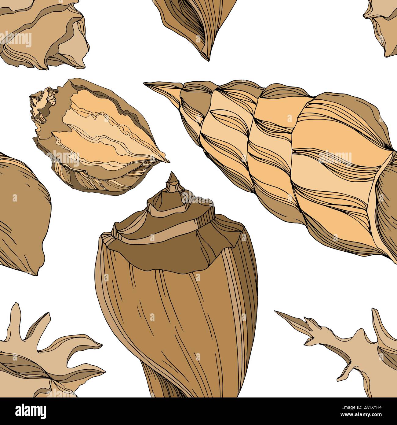 Vector Summer beach seashell tropical elements. Brown beige Engraved ...