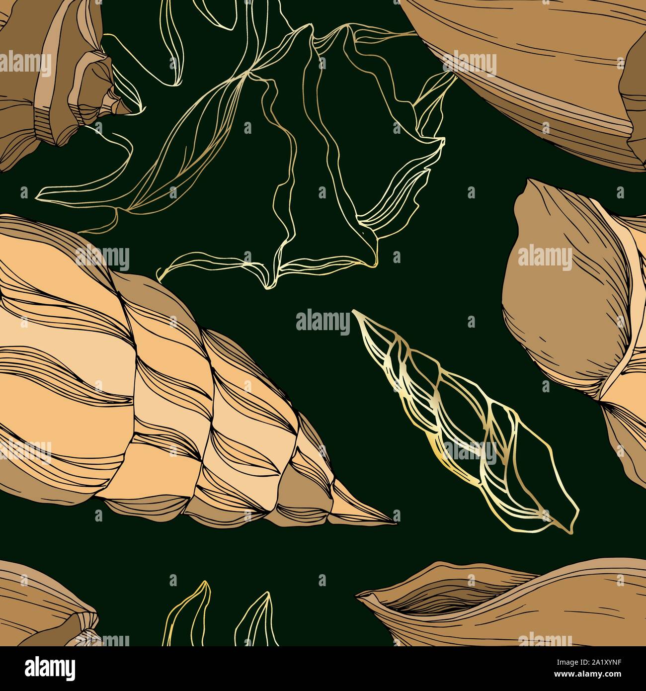 Vector Summer beach seashell tropical elements. Brown beige Engraved ...