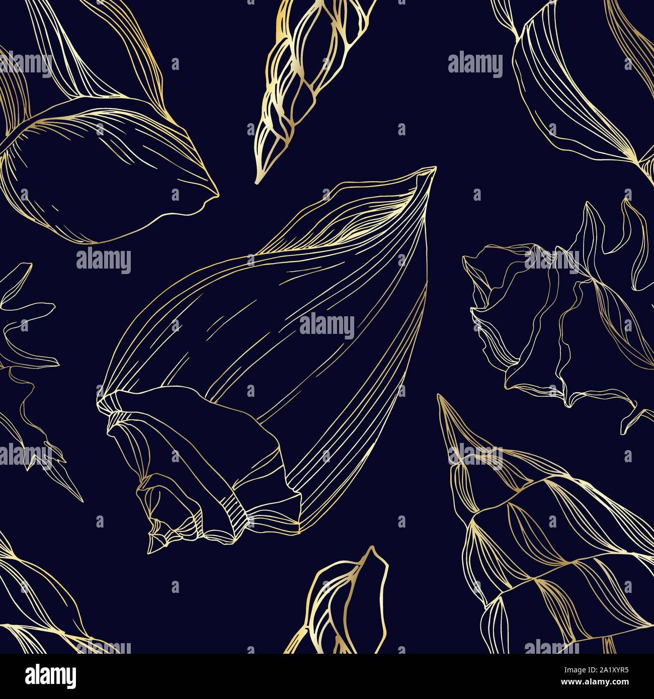 Vector Summer beach seashell tropical elements. Brown beige Engraved ...