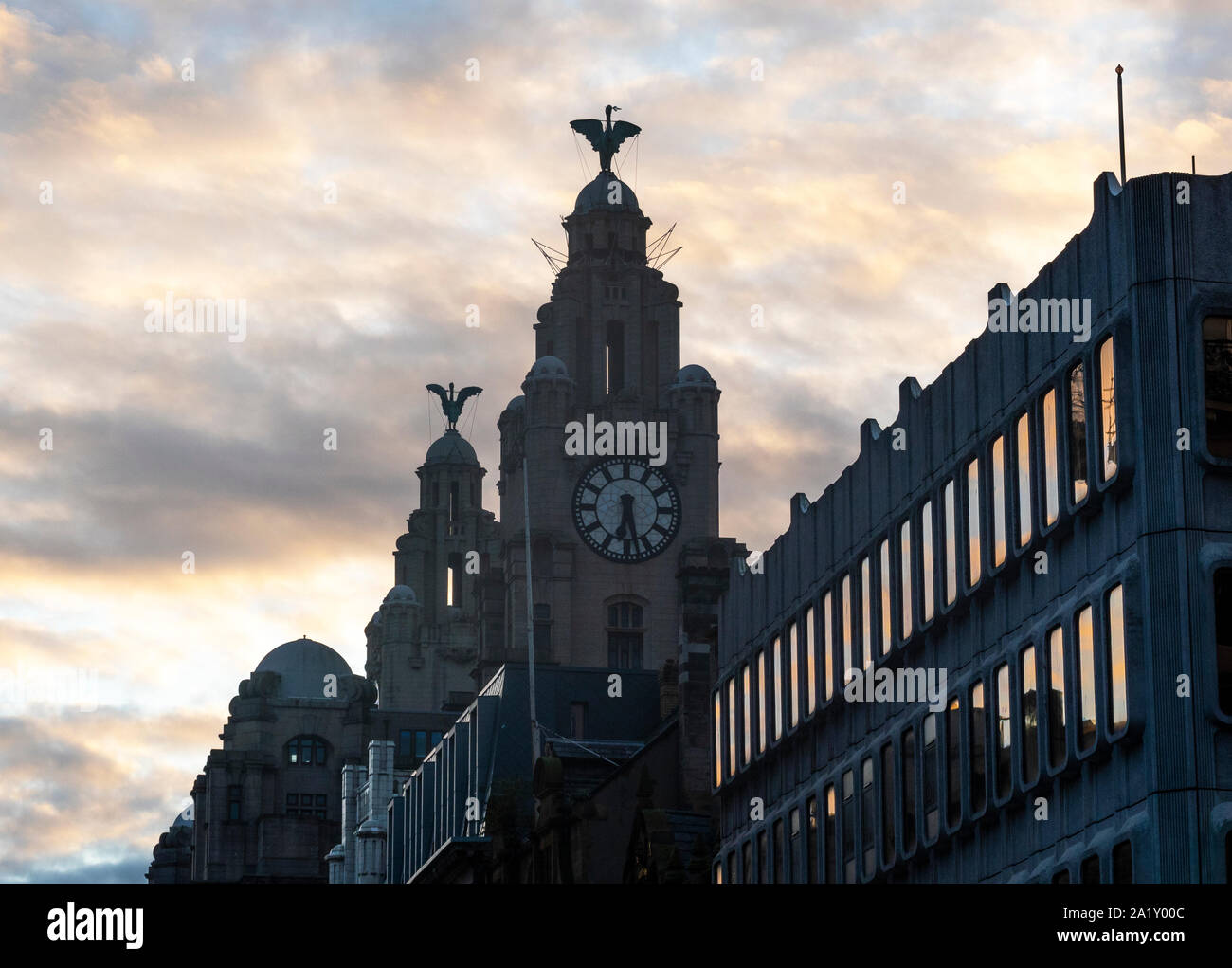 Towers of the Royal Liver Building with liver birds against the dusk ...