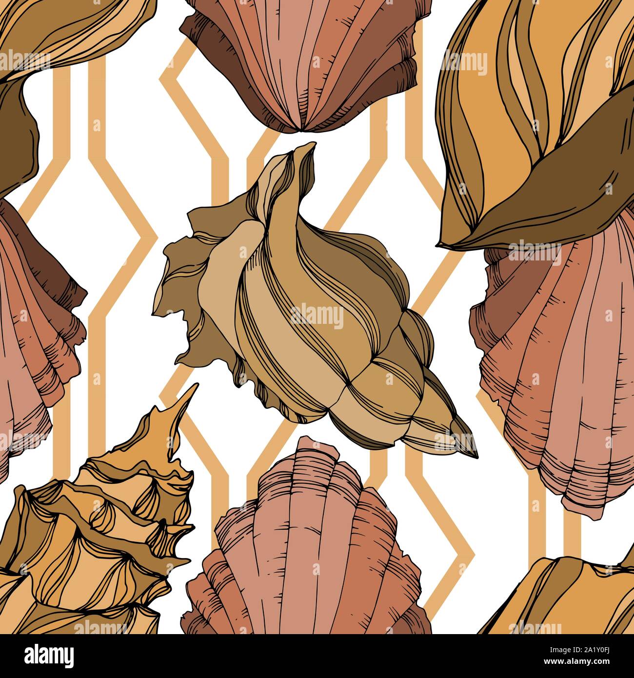 Vector Summer beach seashell tropical elements. Black and white ...