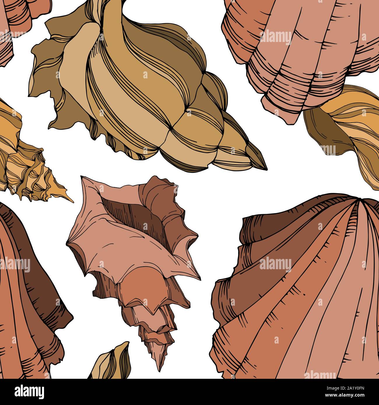 Vector Summer beach seashell tropical elements. Black and white ...