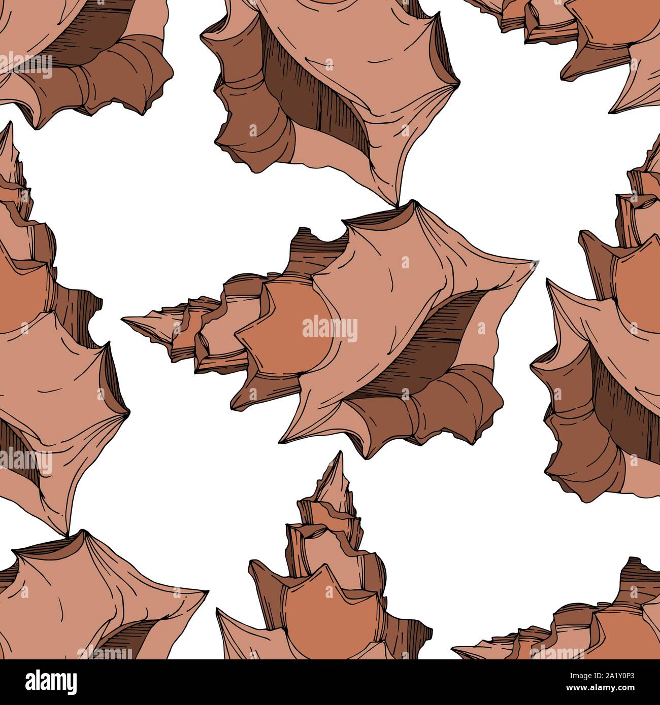 Vector Summer beach seashell tropical elements. Black and white ...