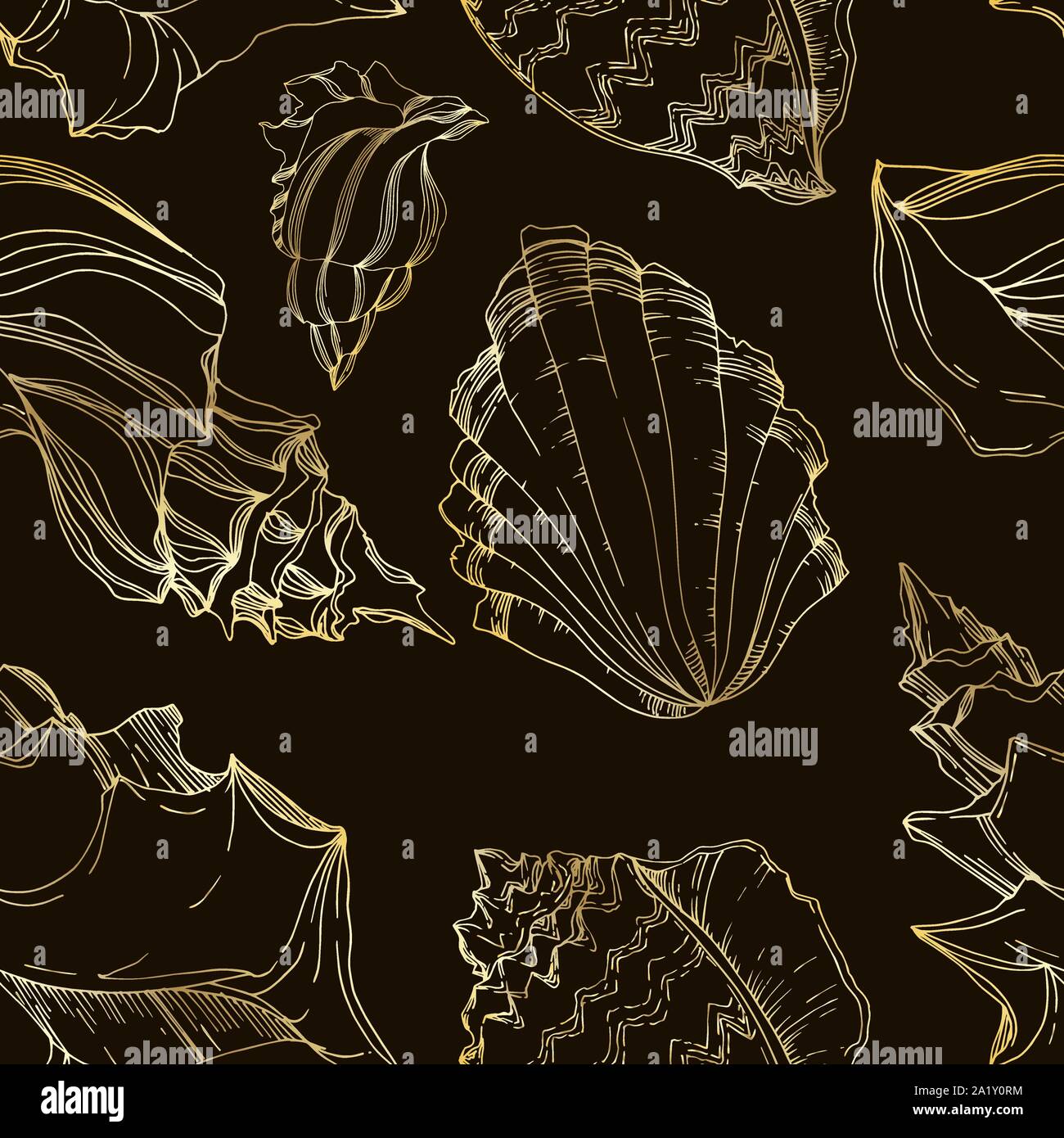 Vector Summer beach seashell tropical elements. Black and white ...