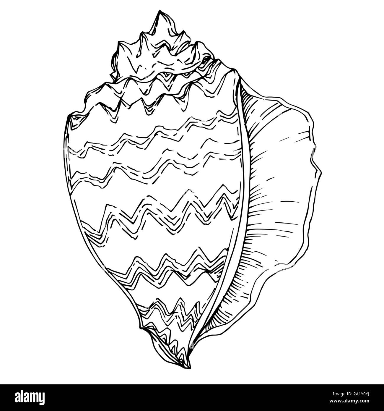 Color etching on paper Black and White Stock Photos & Images - Alamy