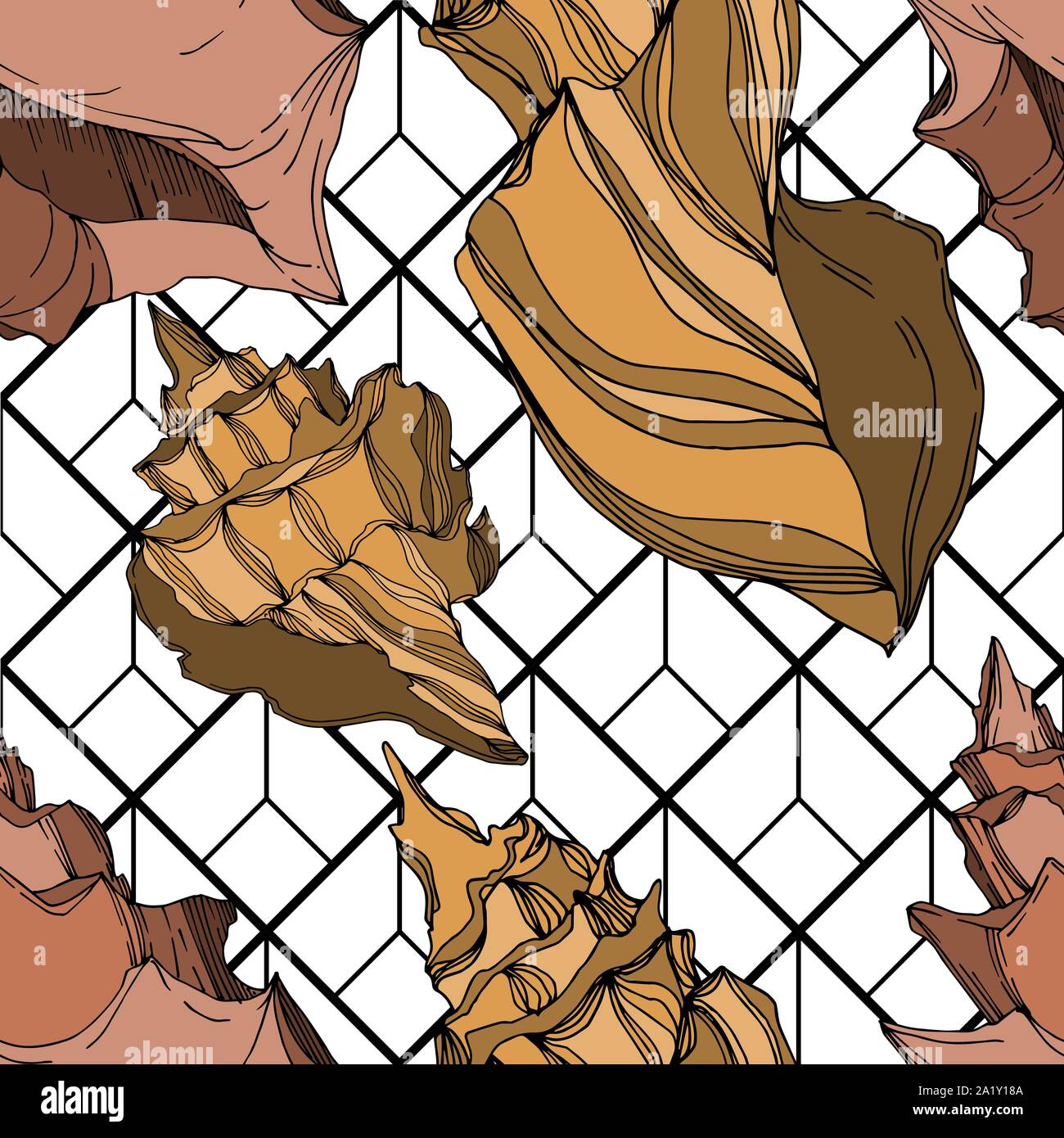 Vector Summer beach seashell tropical elements. Black and white ...