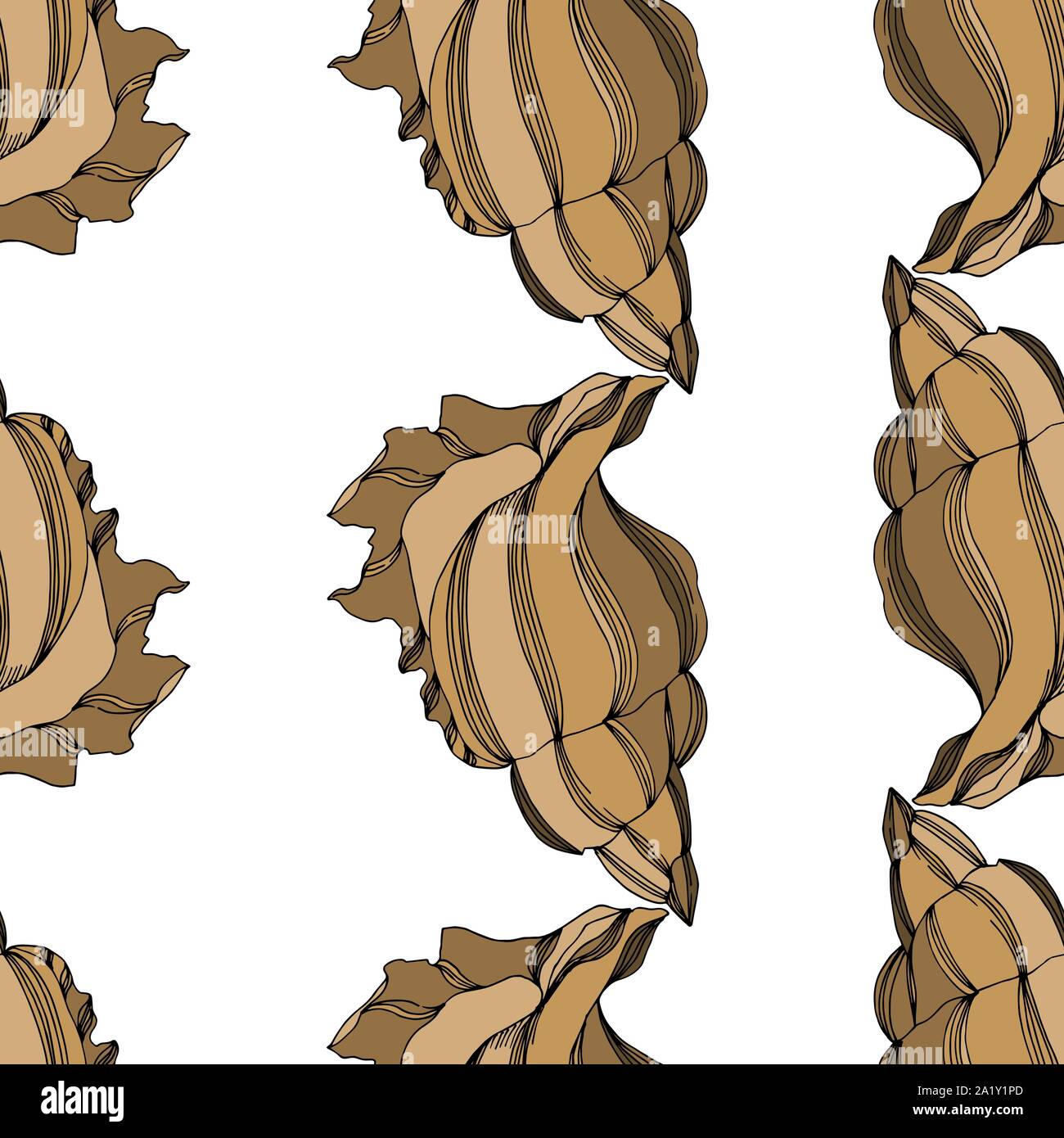 Vector Summer beach seashell tropical elements. Black and white ...