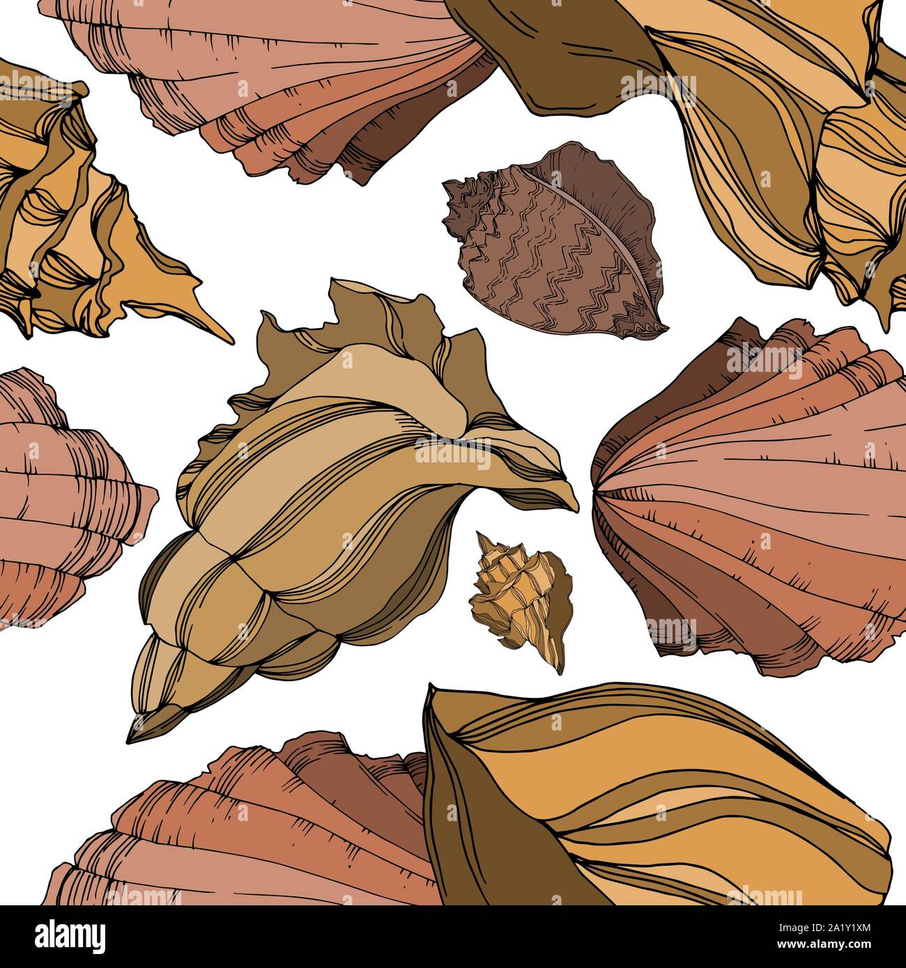 Vector Summer beach seashell tropical elements. Black and white ...