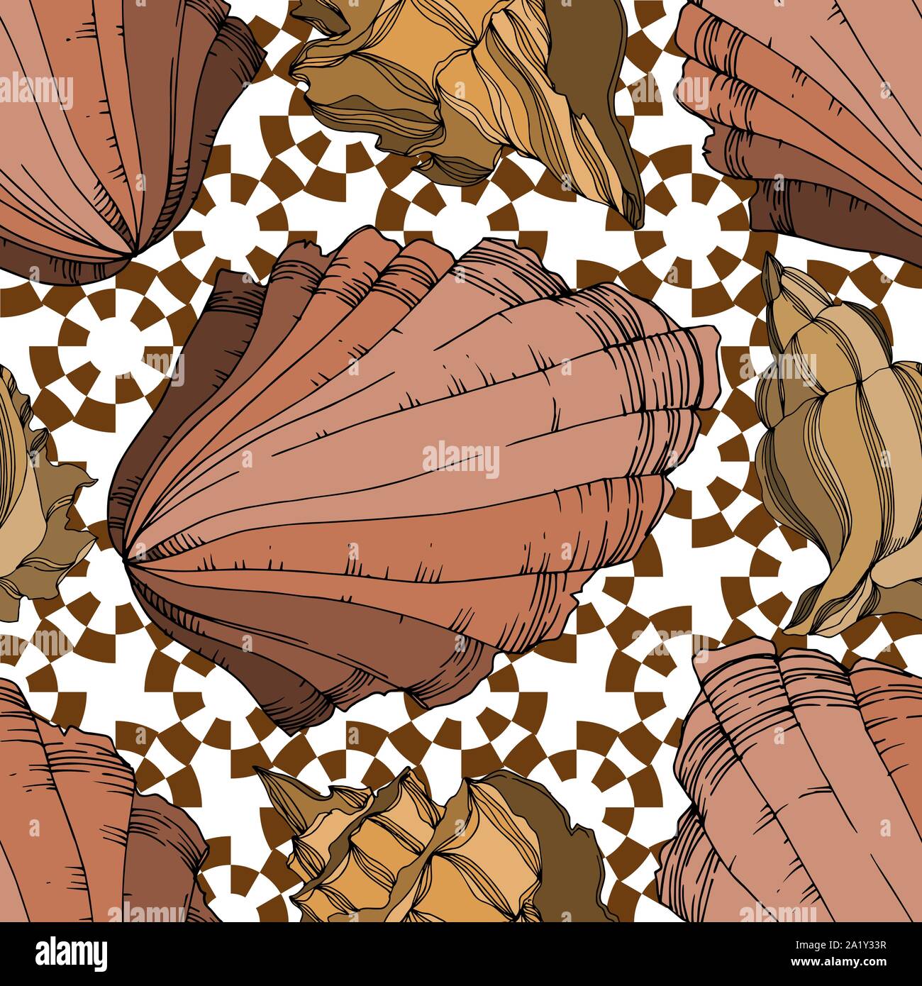 Vector Summer beach seashell tropical elements. Black and white ...