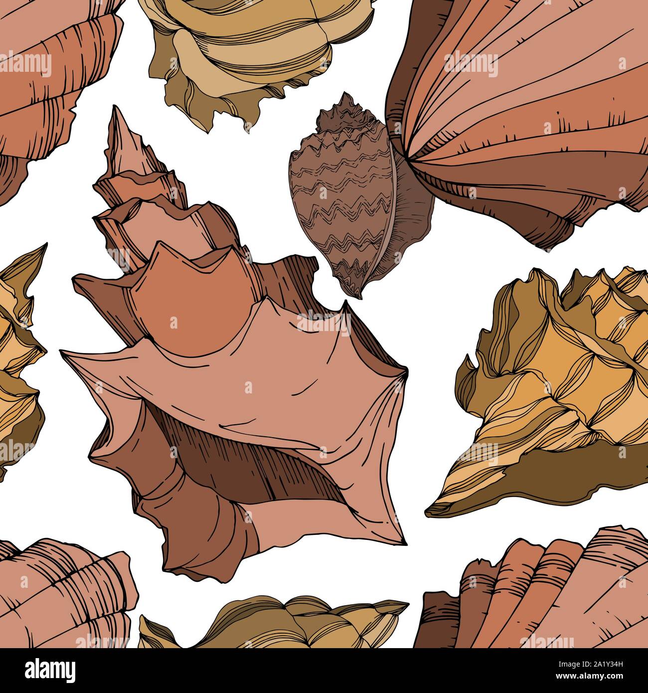 Vector Summer beach seashell tropical elements. Black and white ...