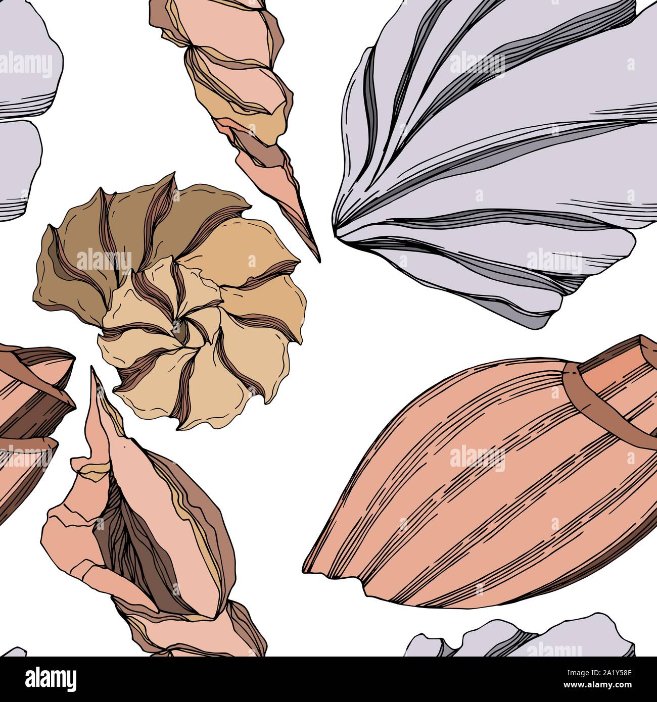 Vector Summer beach seashell tropical elements. Black and white ...
