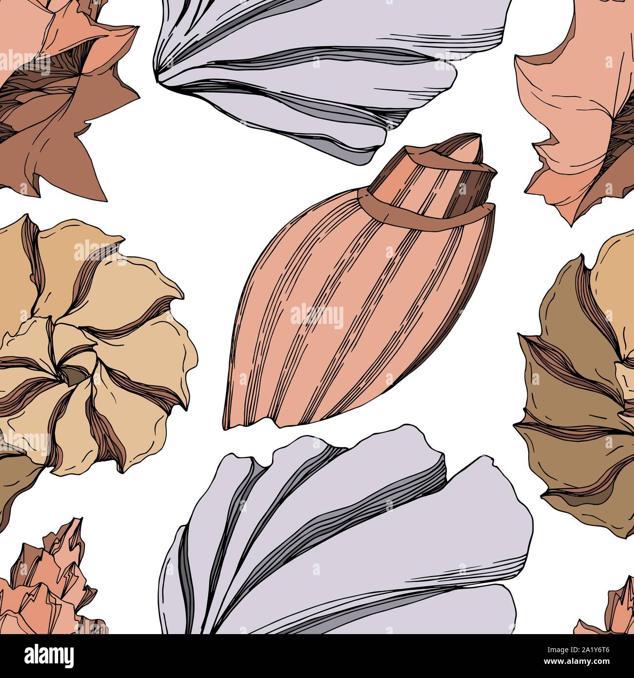 Vector Summer beach seashell tropical elements. Black and white ...