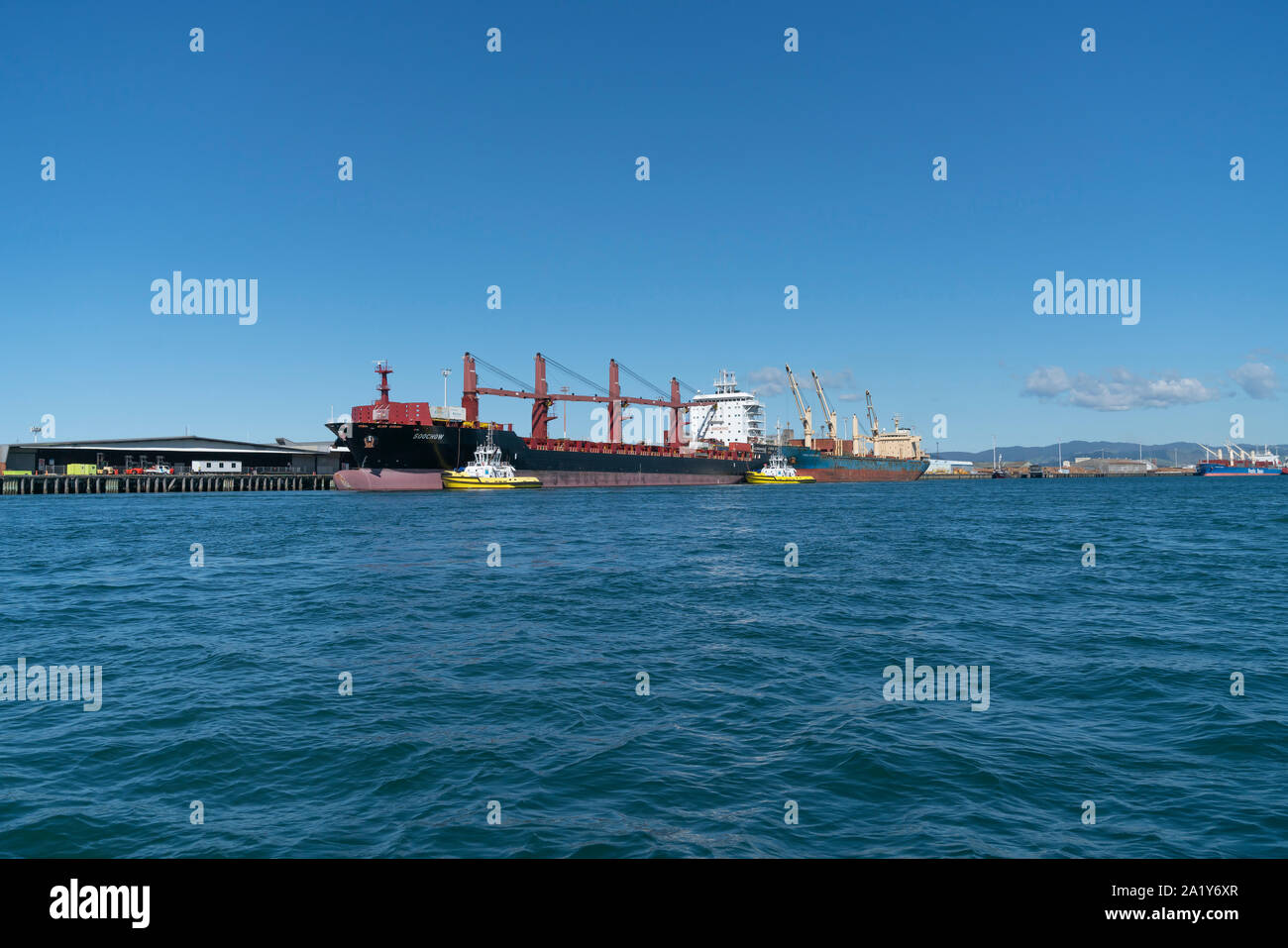 Tauranga New Zealand - September 21 2019; Port of Tauranga wharf with ...