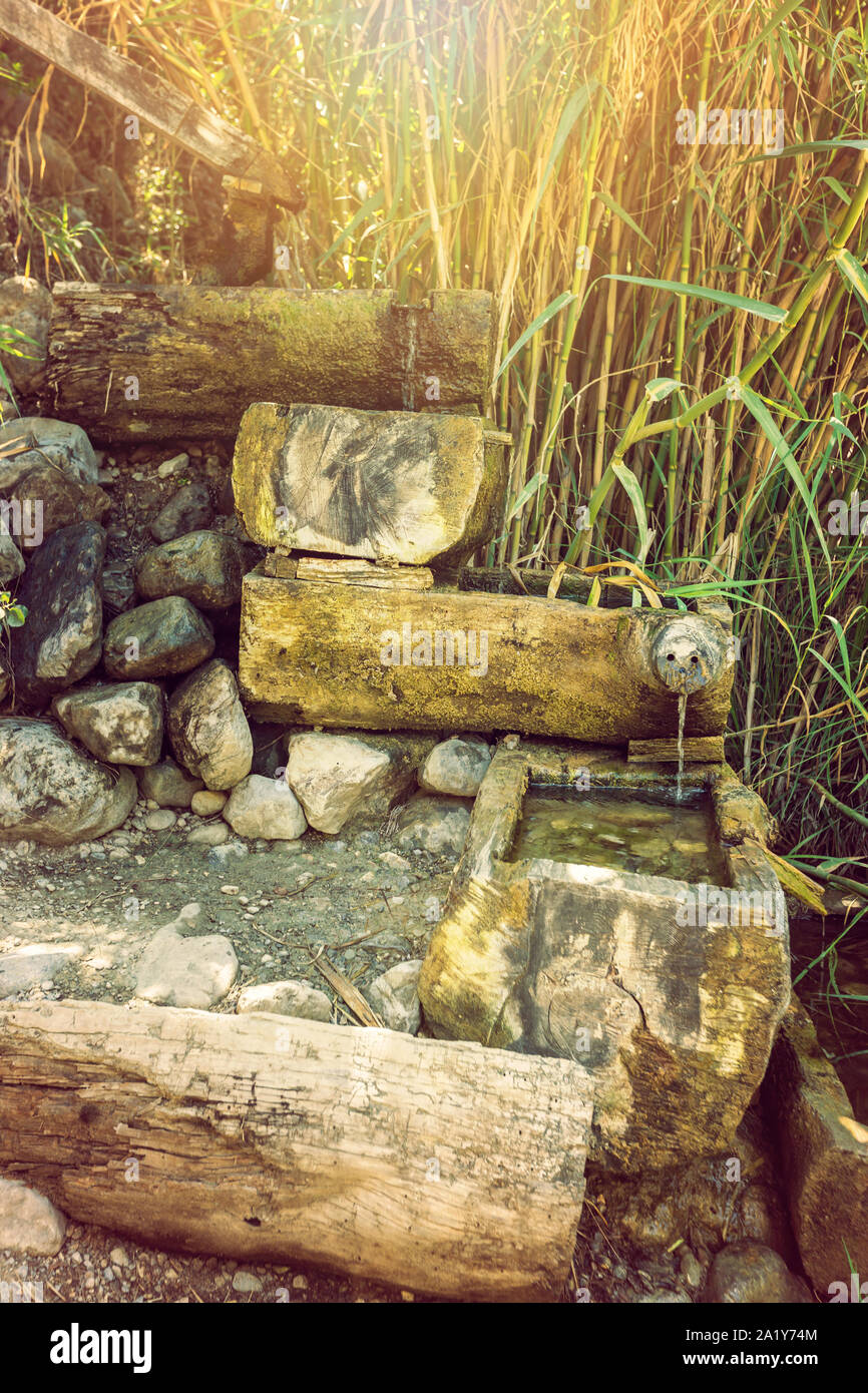 Traditional japanese bamboo fountain in the garden. The basin provided ...