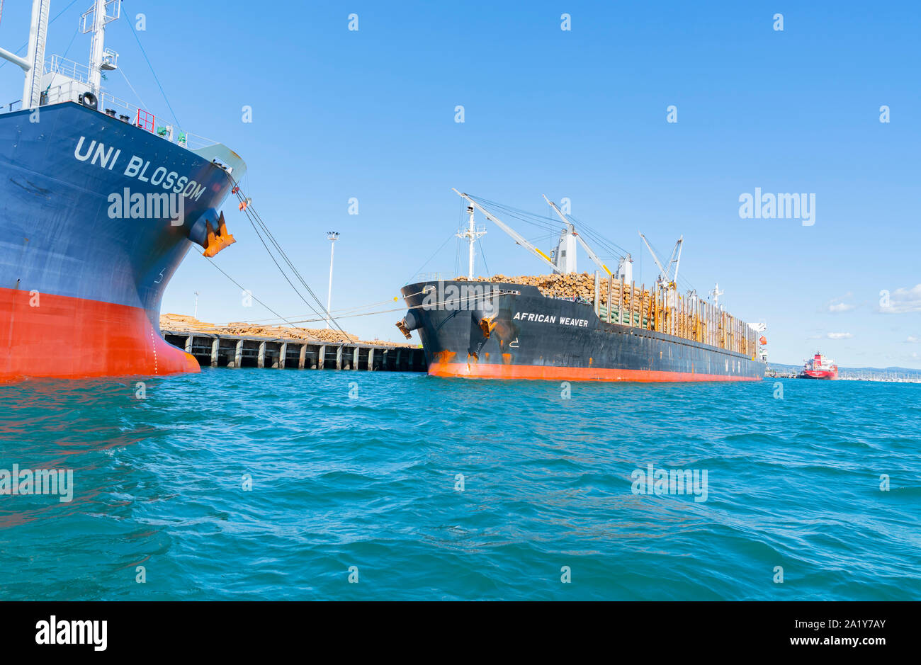 Tauranga New Zealand - September 21 2019; Port of Tauranga wharf with ...