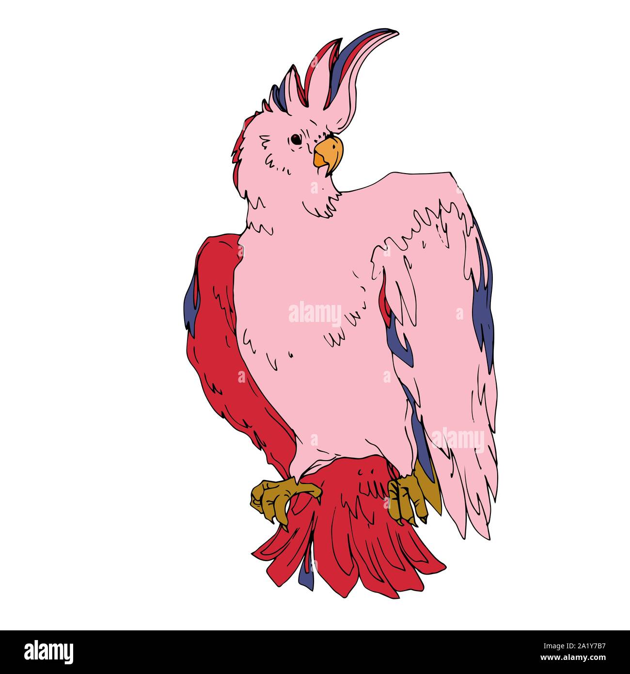 Vector Sky bird cockatoo in a wildlife isolated. Wild freedom, bird ...