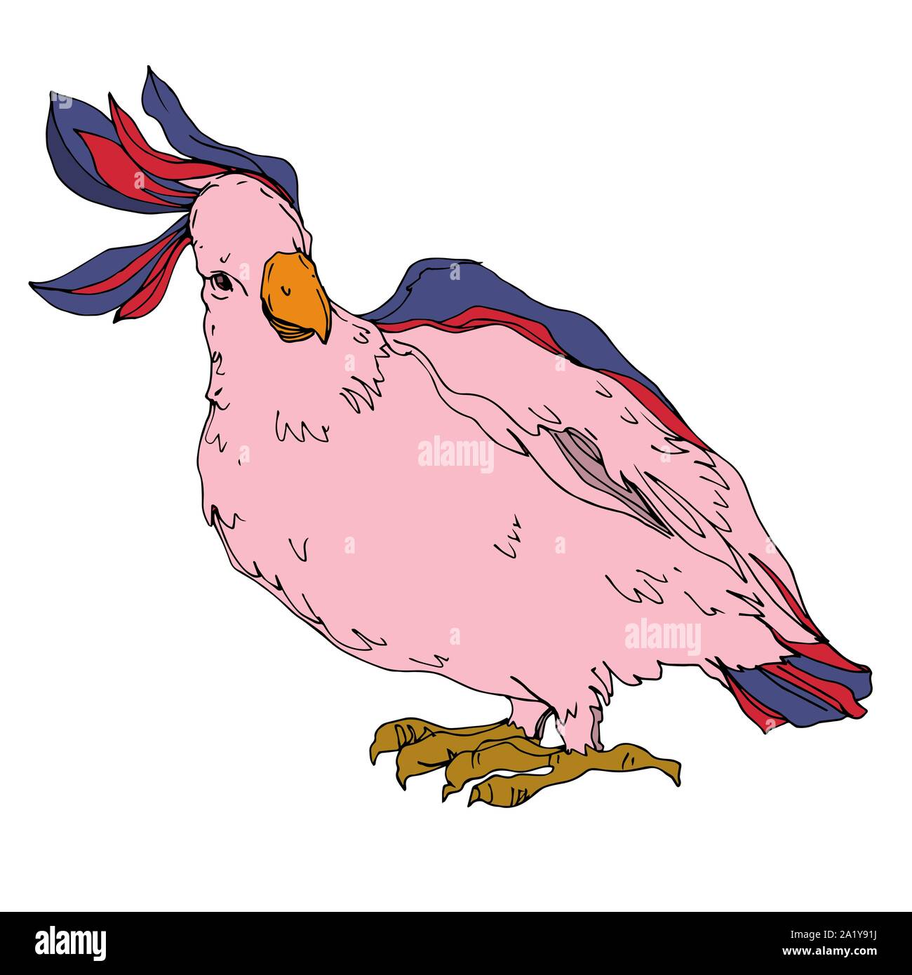 Vector Sky bird cockatoo in a wildlife isolated. Wild freedom, bird ...