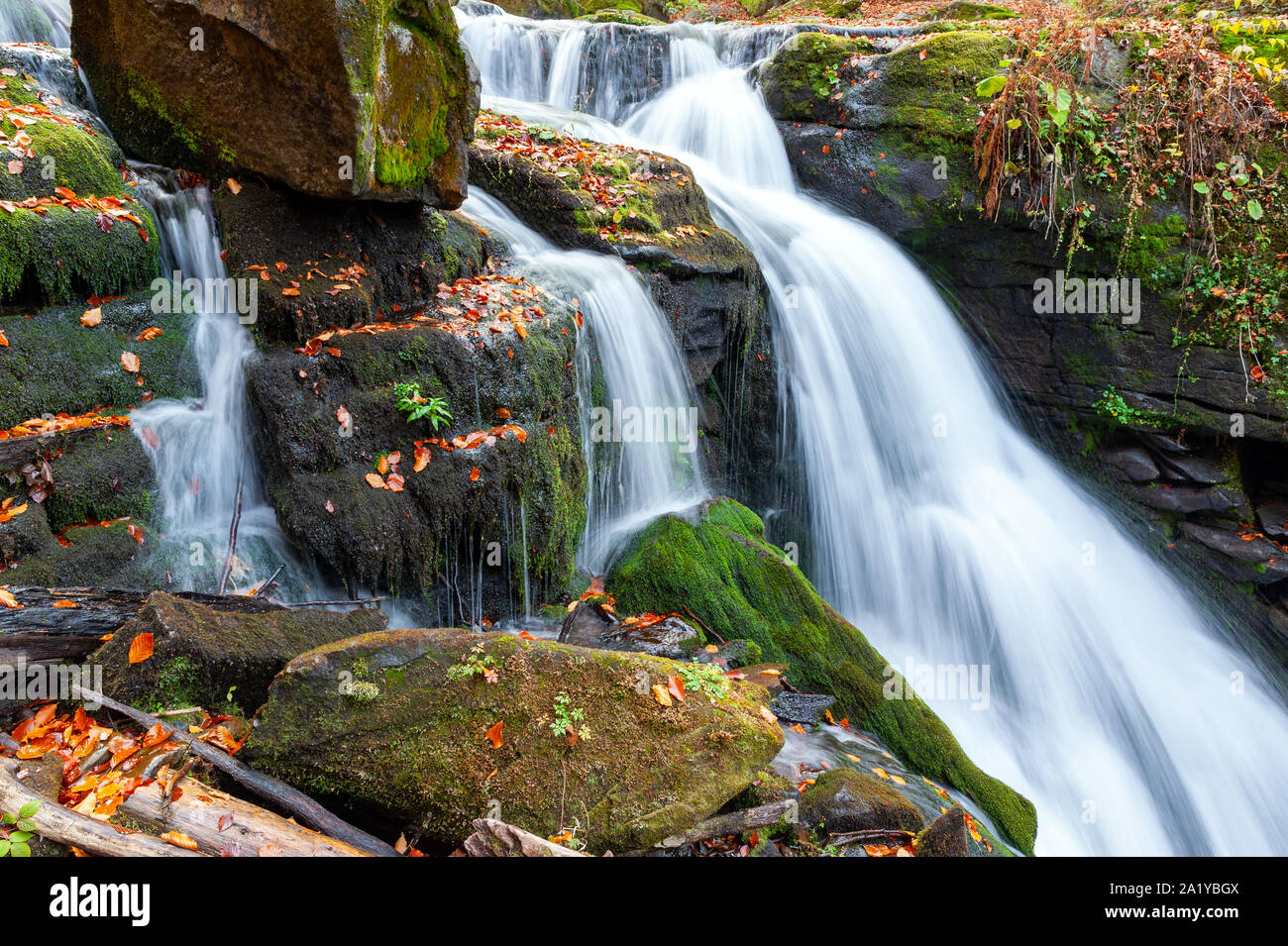 Beautiful mountain waterfall trees hi-res stock photography and images ...