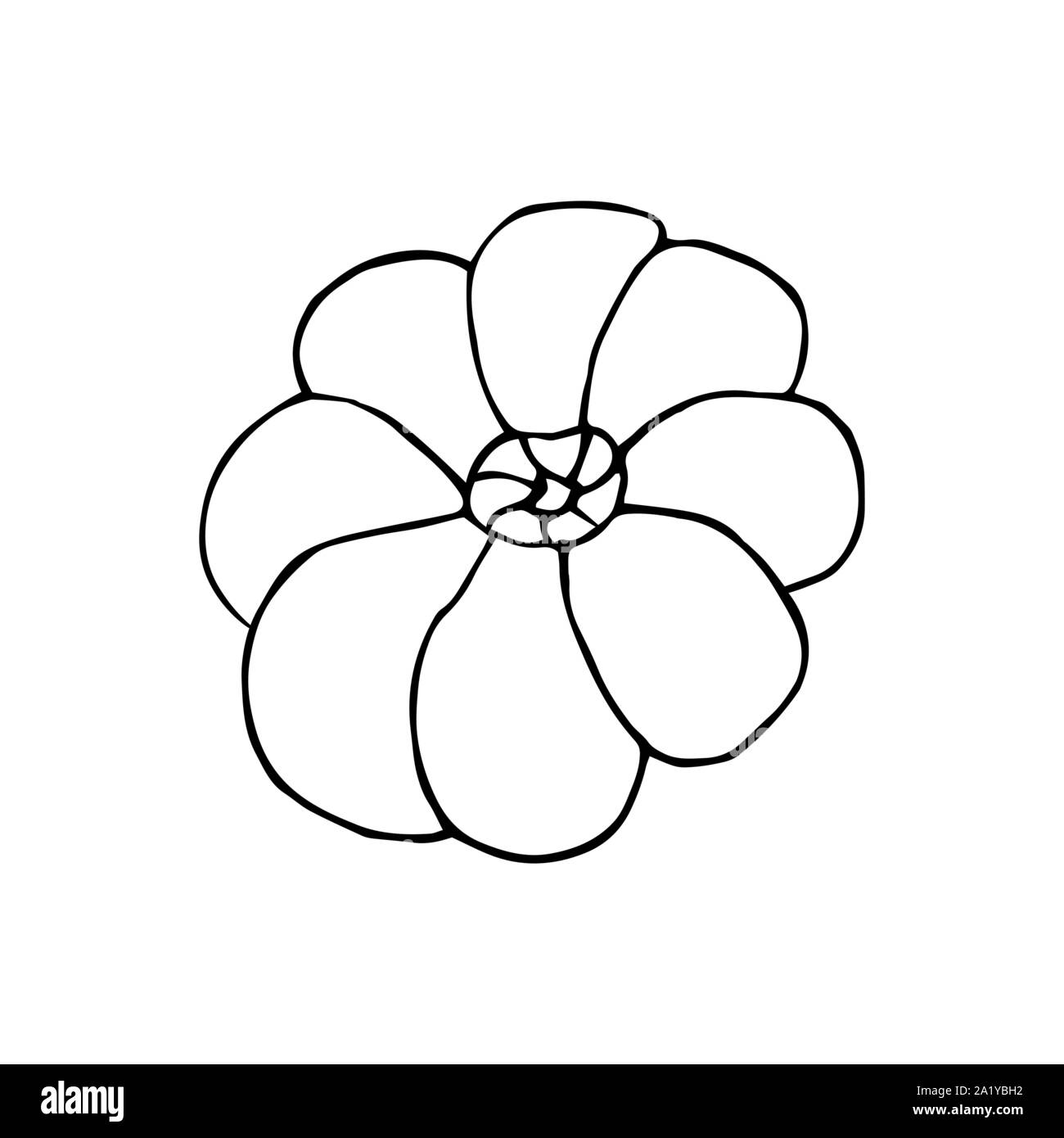 Halloween background top view Black and White Stock Photos & Images - Alamy