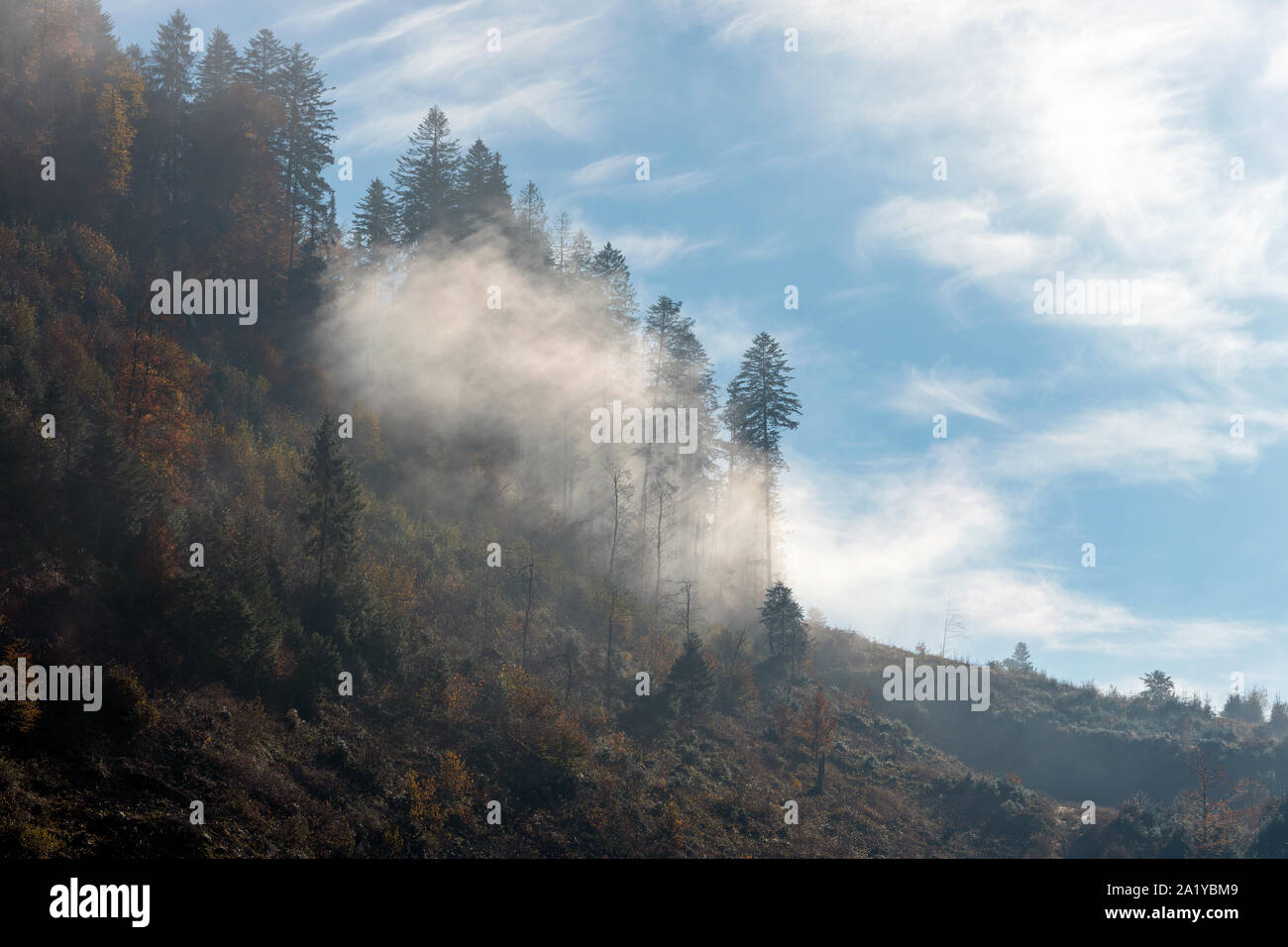 Rays of the sun breaking through the fog in forest hill Stock Photo - Alamy