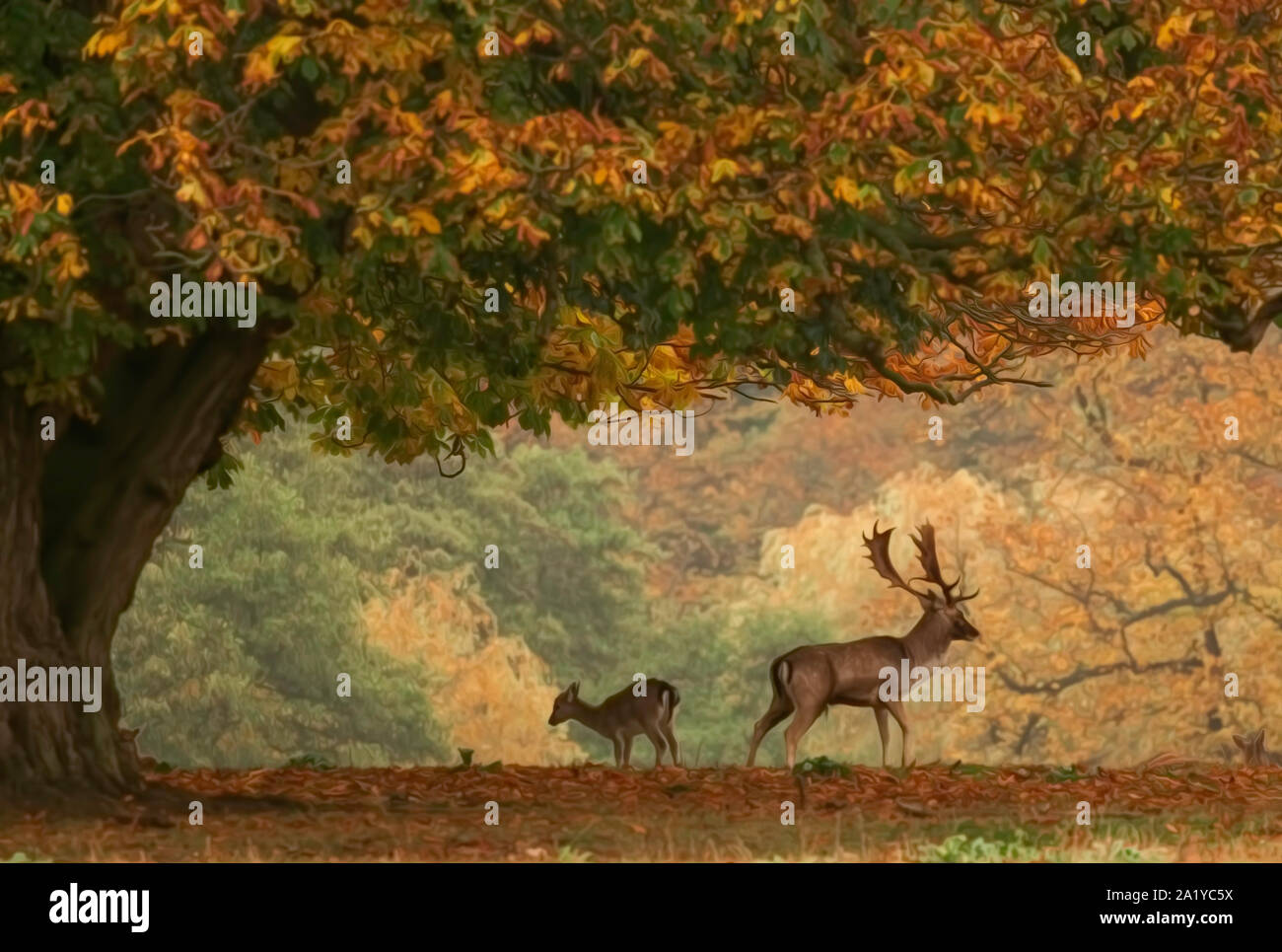 Under an oak tree hi-res stock photography and images - Alamy