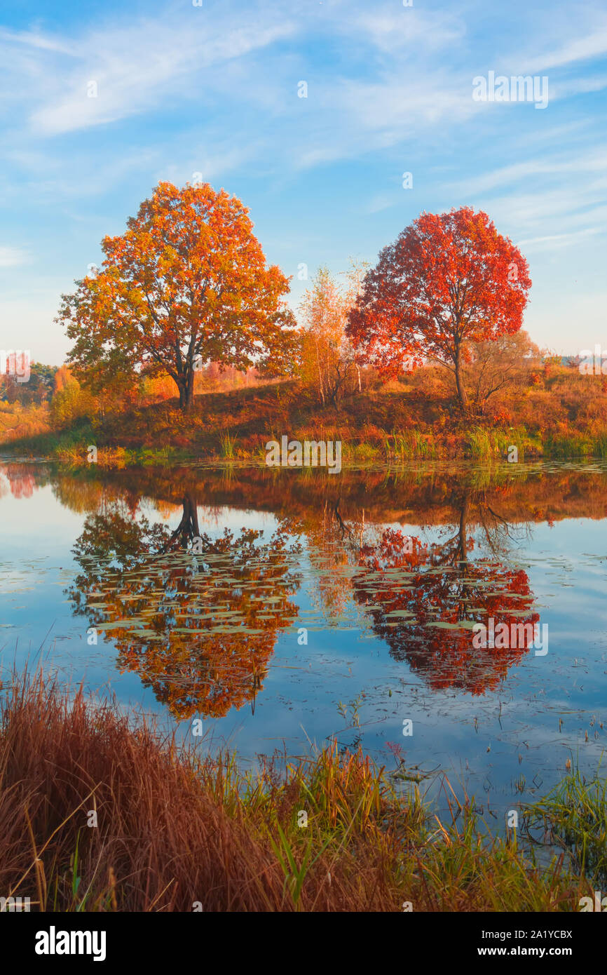 Reflection and nature hi-res stock photography and images - Alamy