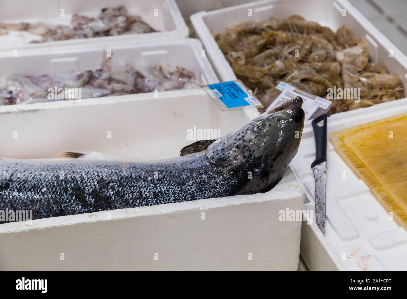 Large variety of mediterranean fish hi-res stock photography and images ...